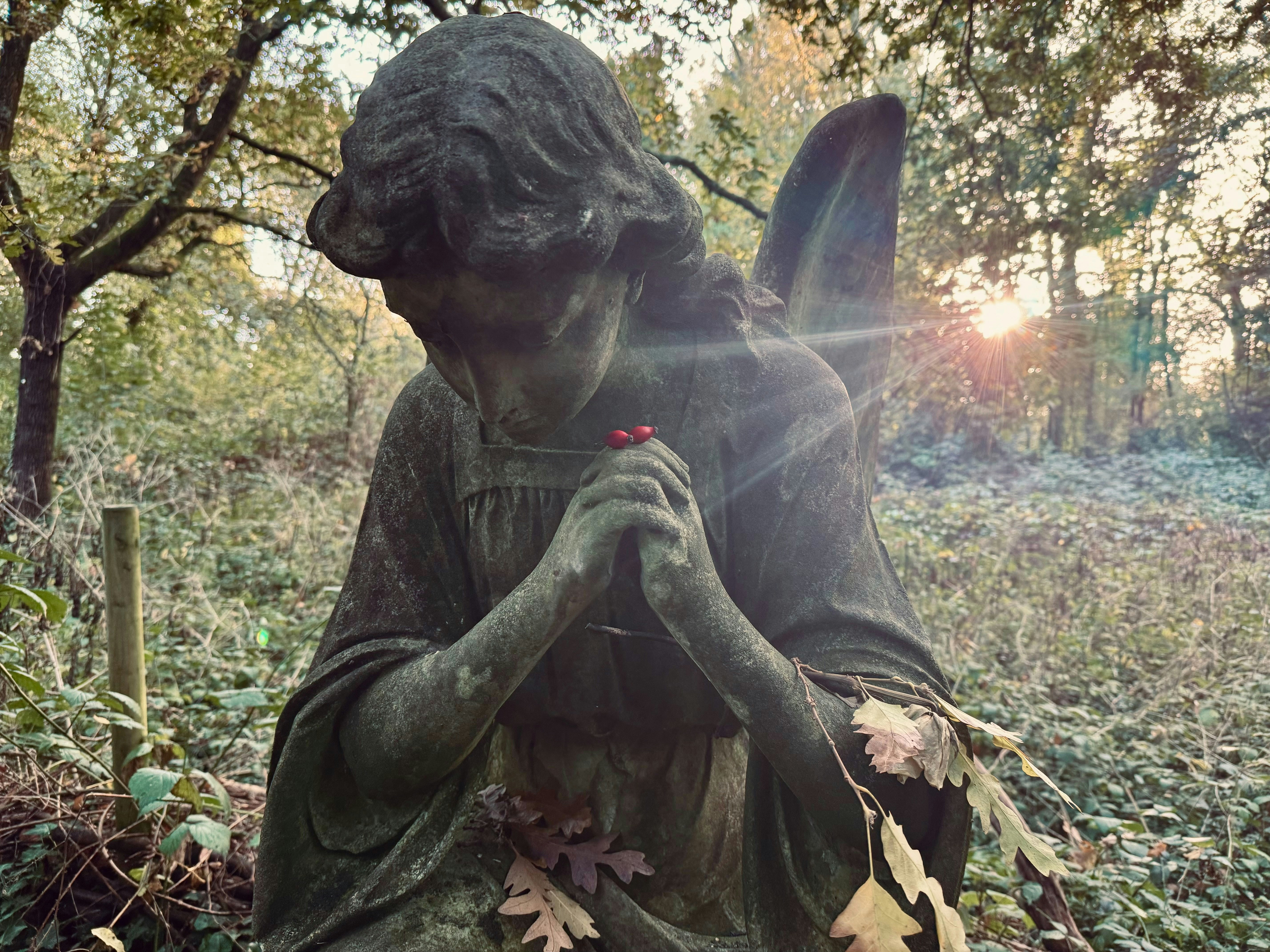 Twilight Angel in the Ivy—Prayers by the Garden Stair