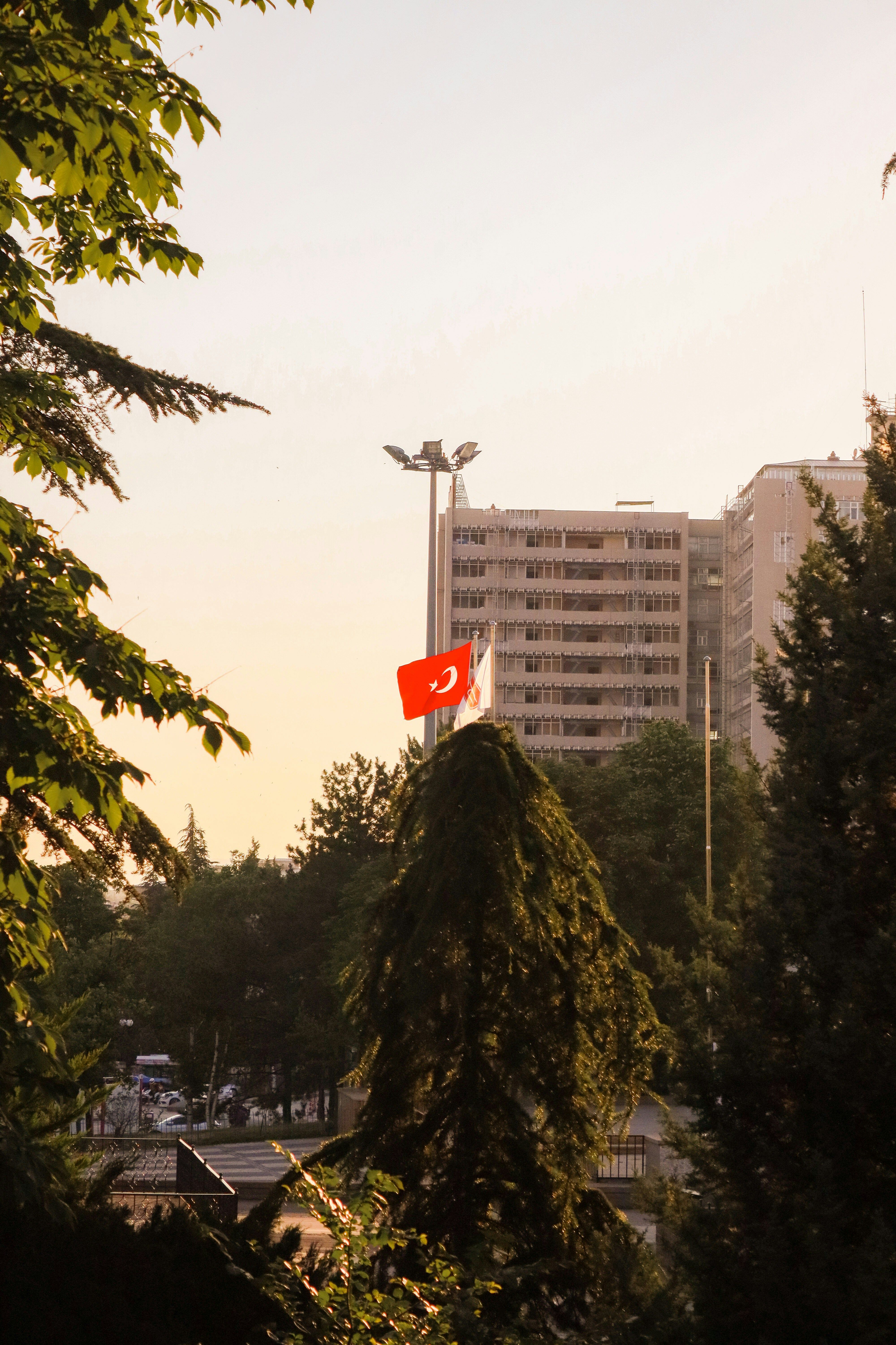 Turkish Flag Against Sunset Over Urban Canopy