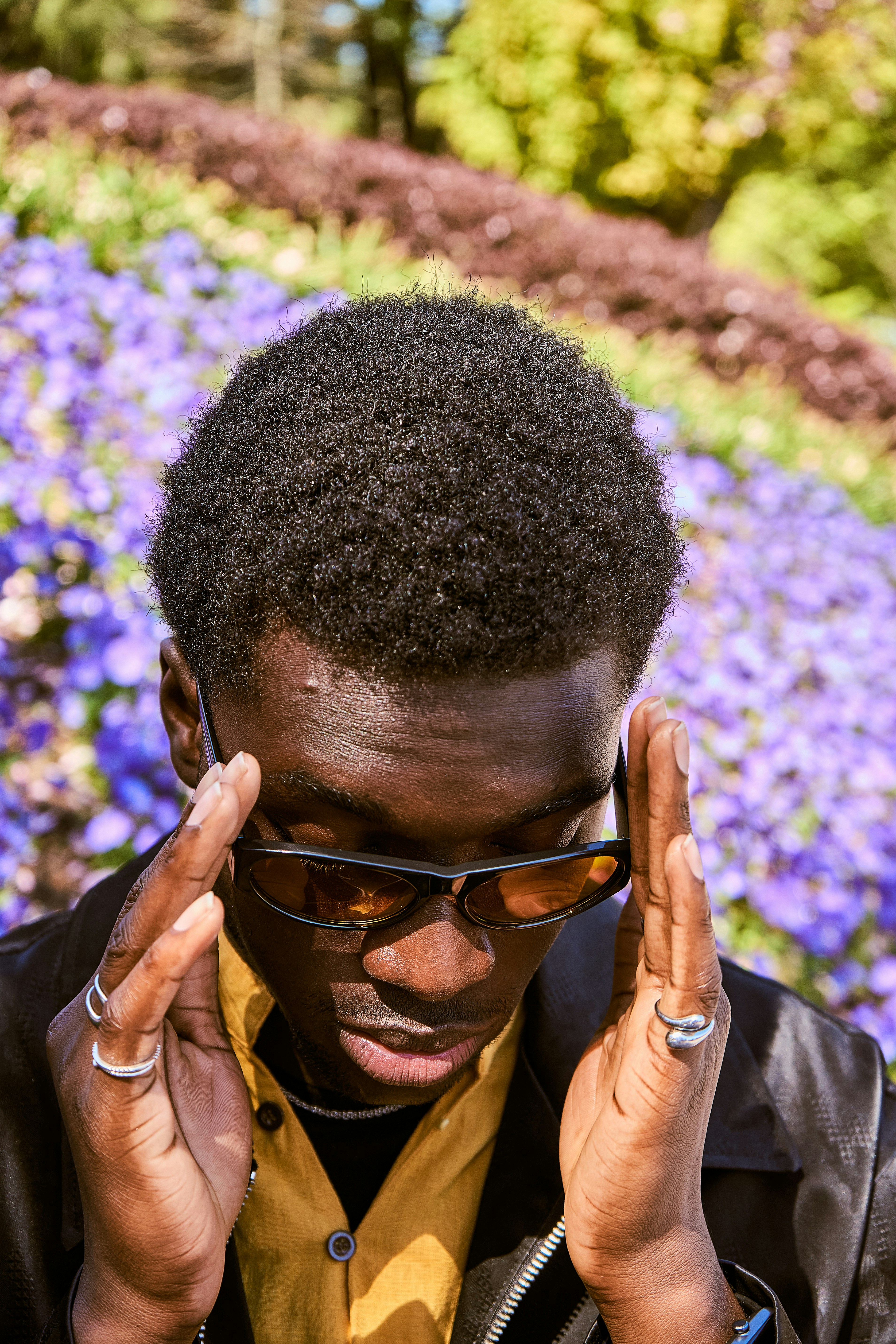 Shaded Focus: A Quiet Moment Under Violet Blooms