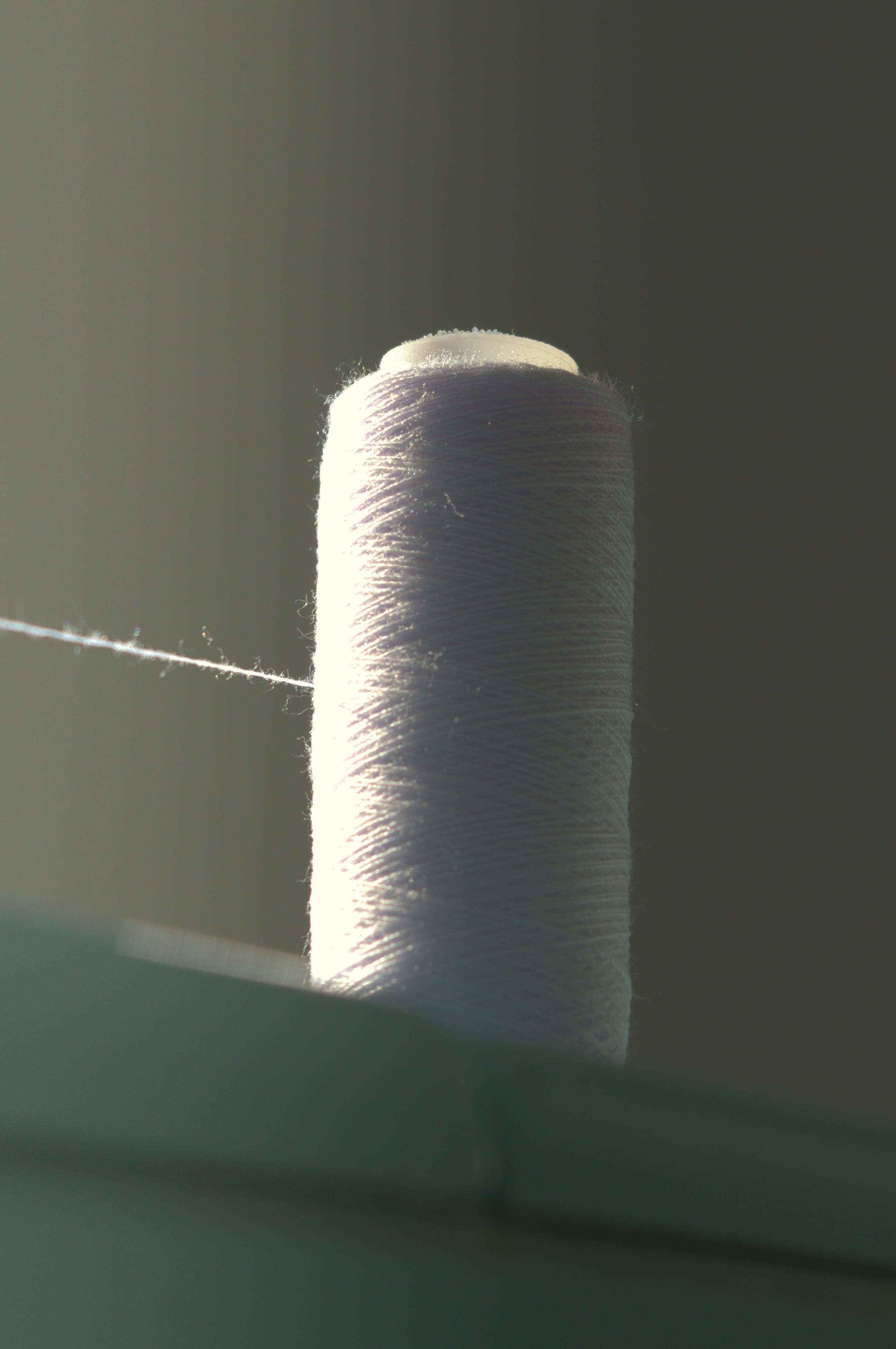 A white spool of thread with a single strand. photo – Free Fabric Image ...