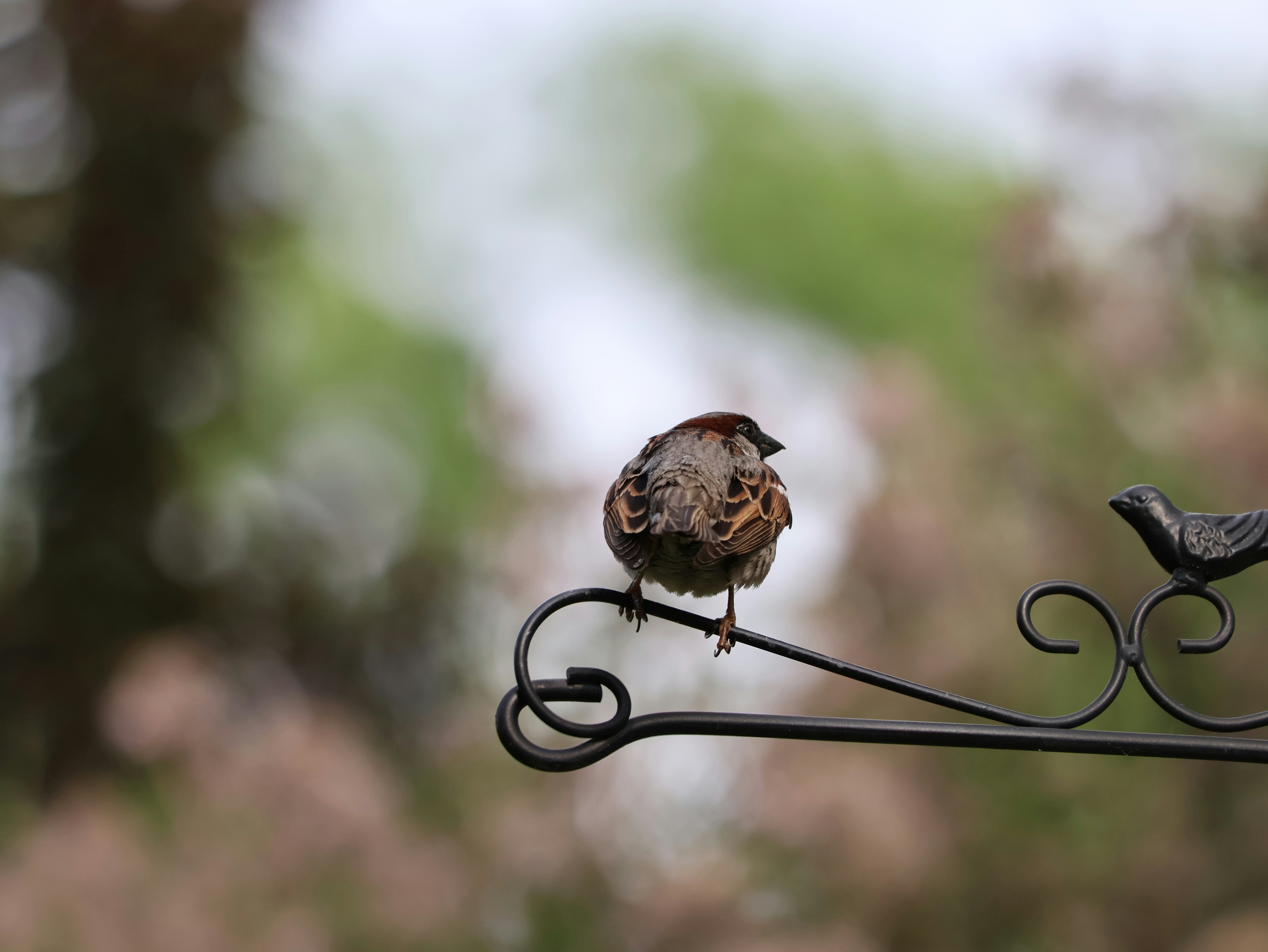 Perched Finch on an Ornamental Wreath