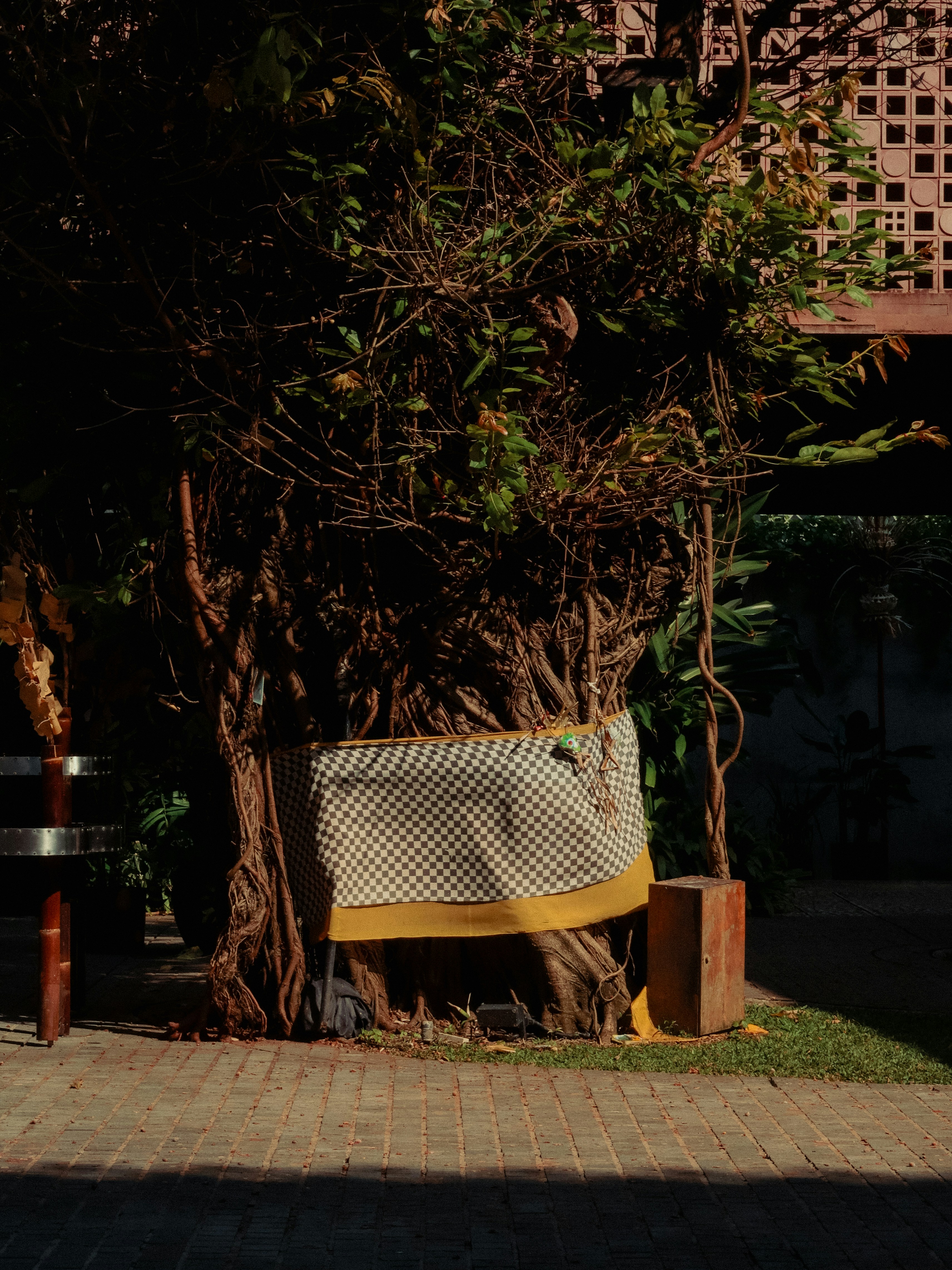 Tree with exposed roots and a polka dot cloth.