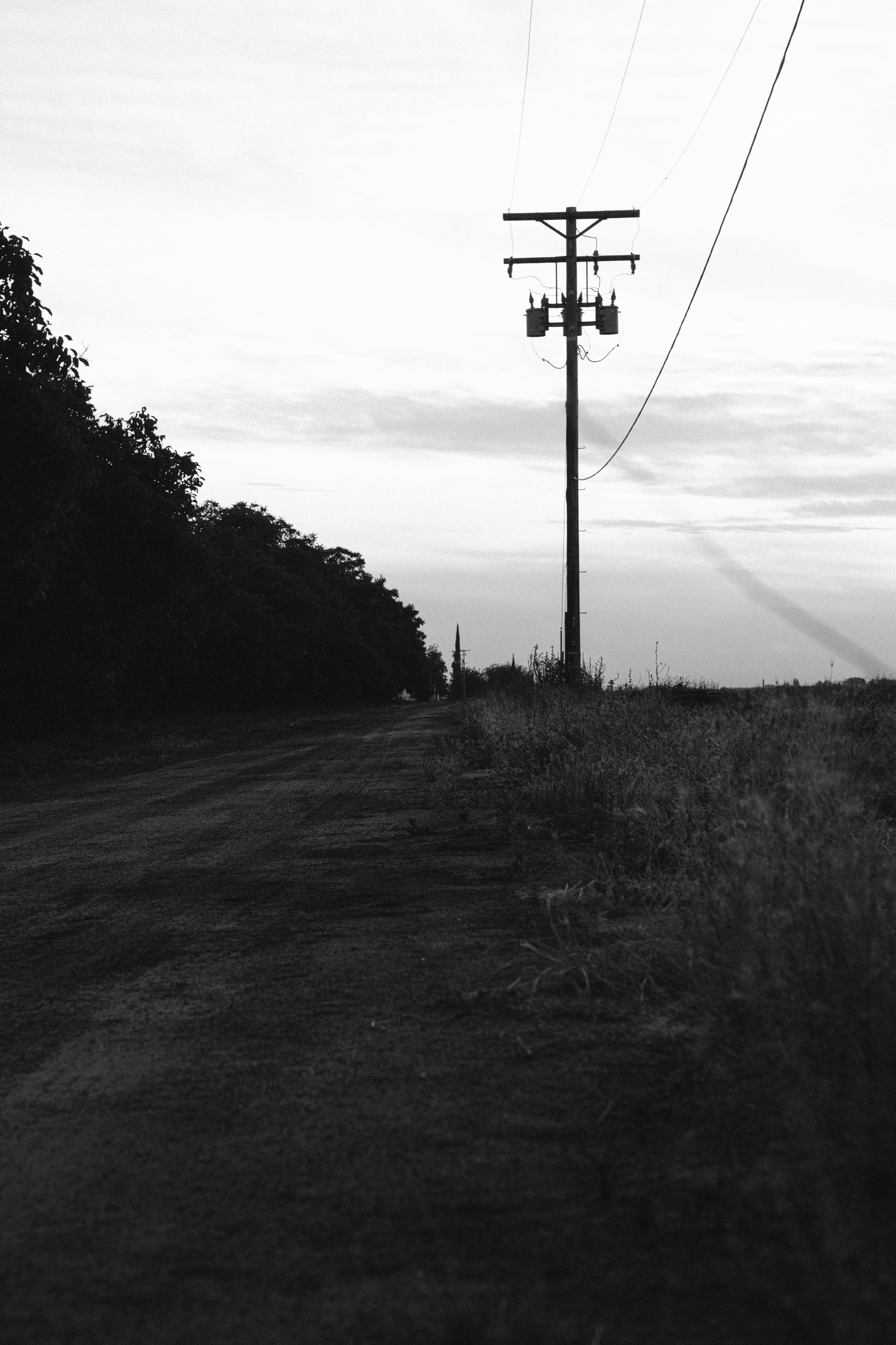 Ridge Road at Dusk: Power Line Silhouette Over an Untamed Path