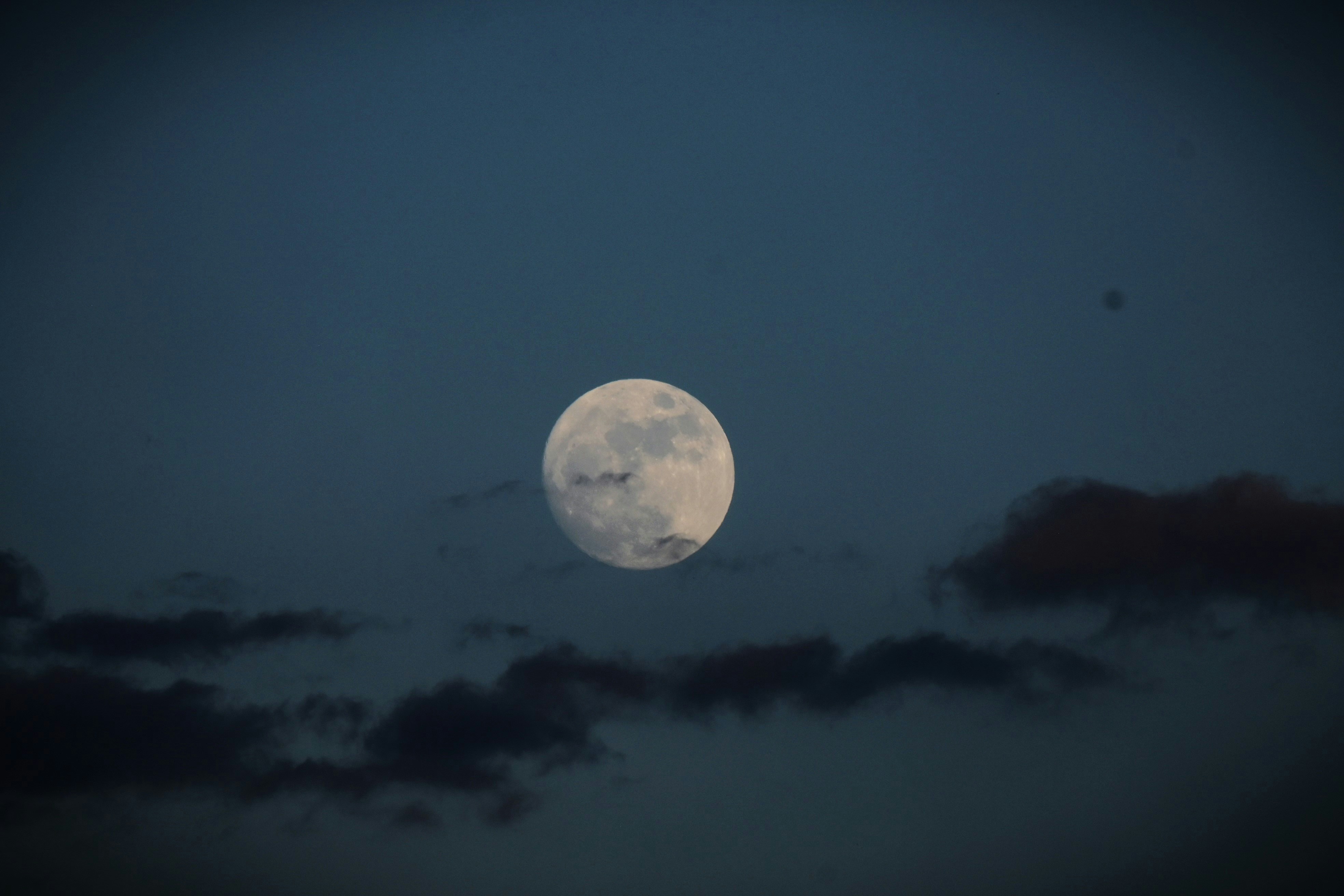 Moonlit Crescent: A Quiet Night Through a Lens