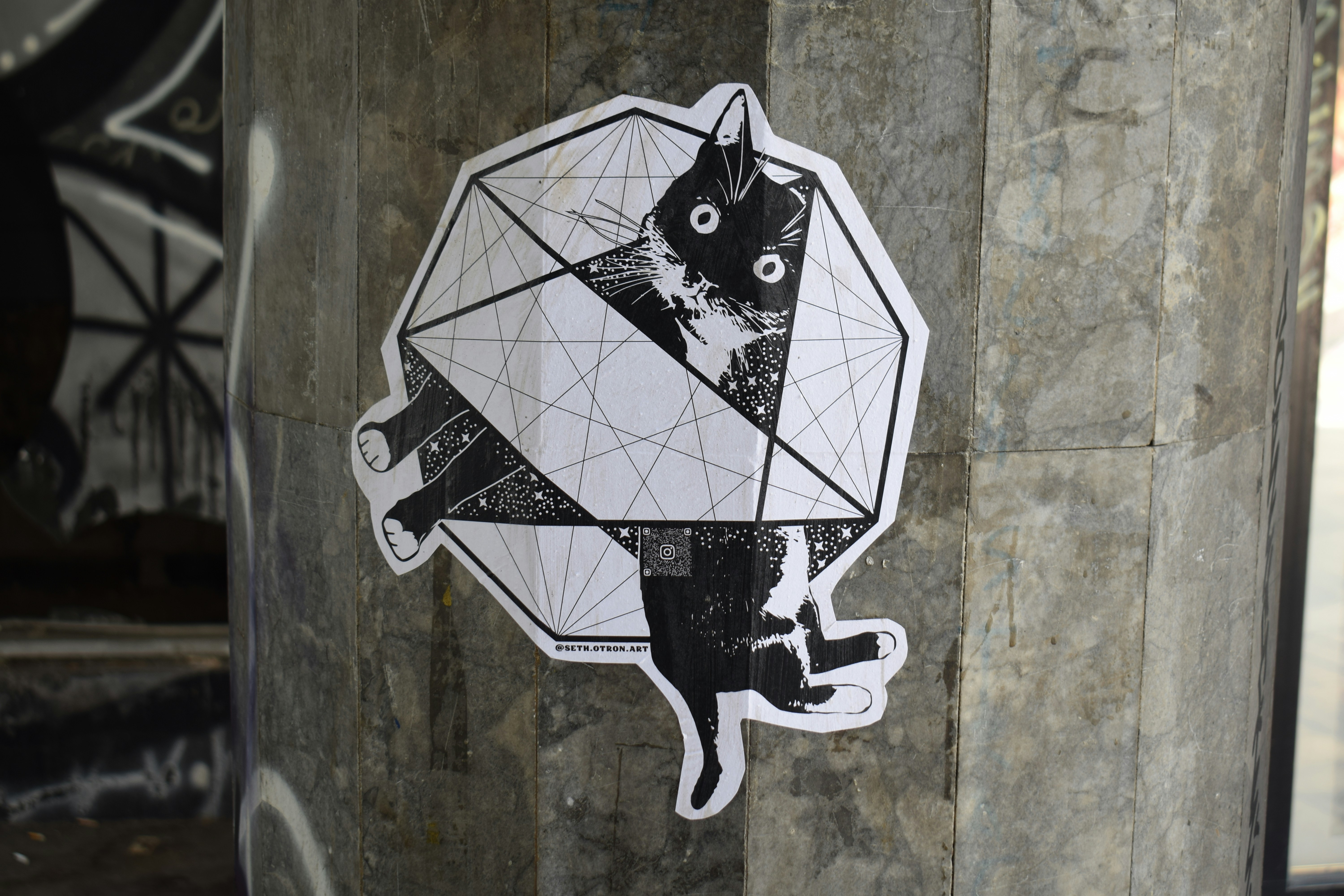 Geometric Shadow: A Black Cat Pegged in a Geometric Frame on Concrete