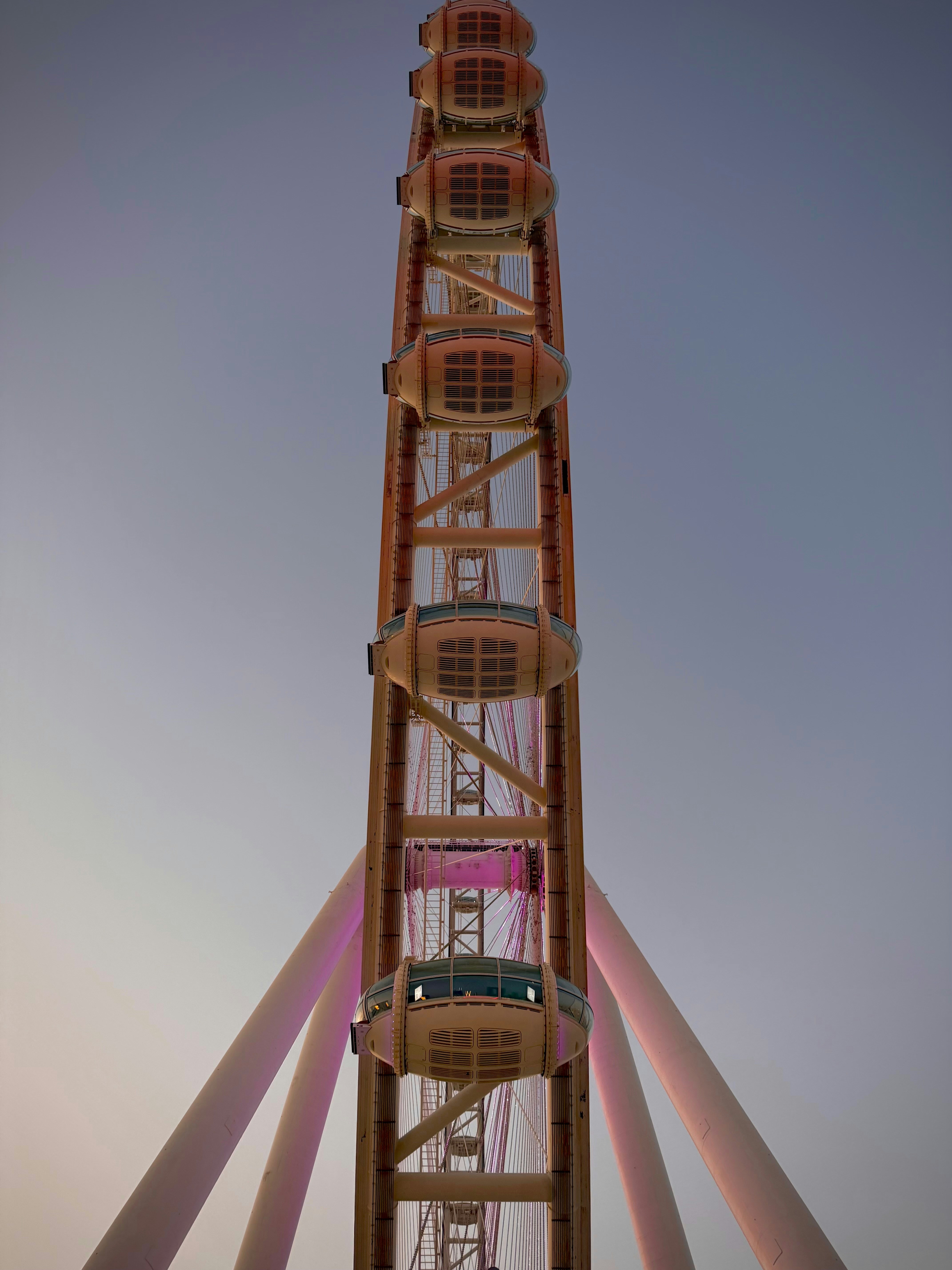 Vertical Ride: The Ferris Wheel Reaches the Sky