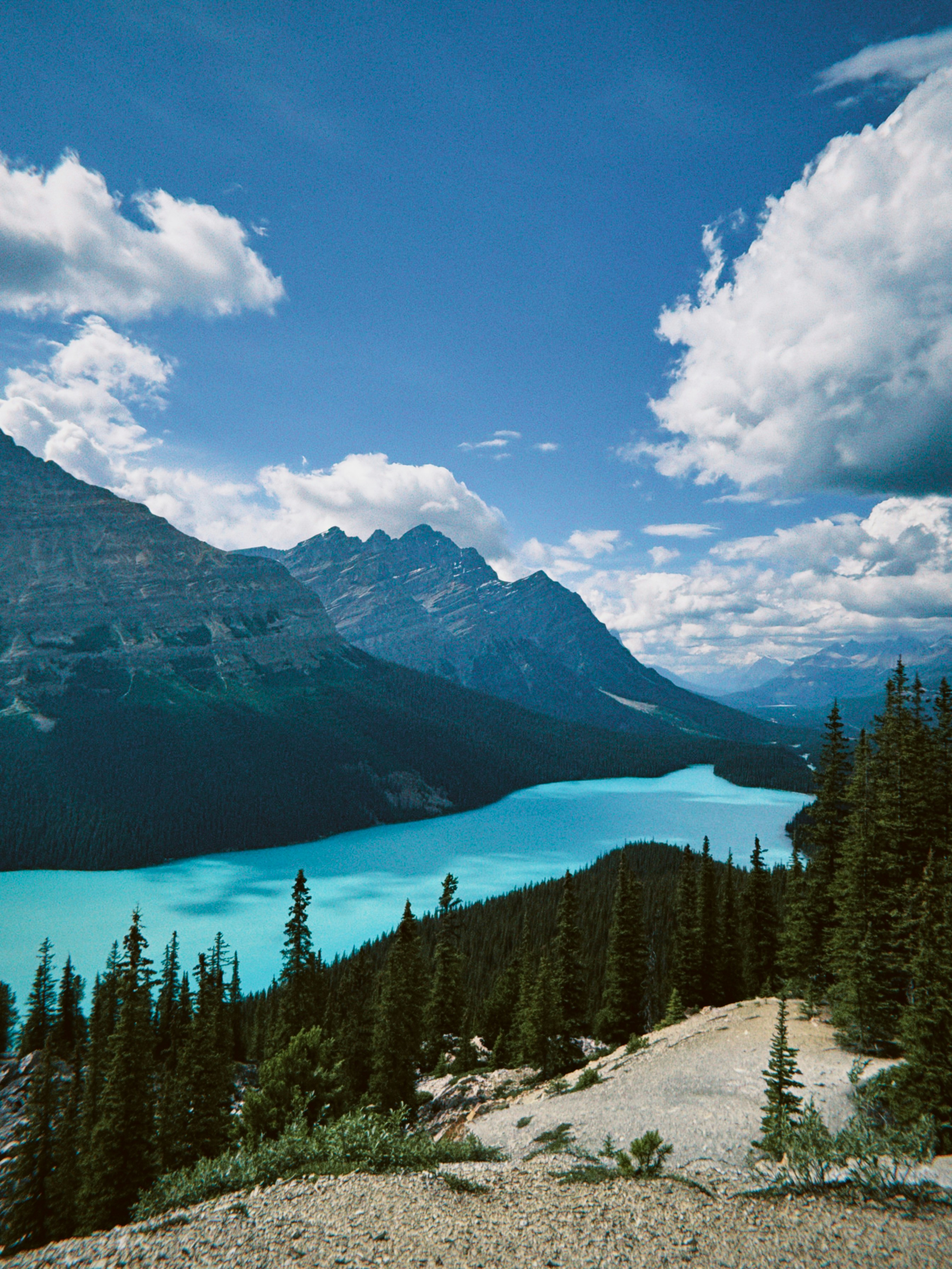Azure Ribbon: A Glacier Lake Carved by Sky and Pines