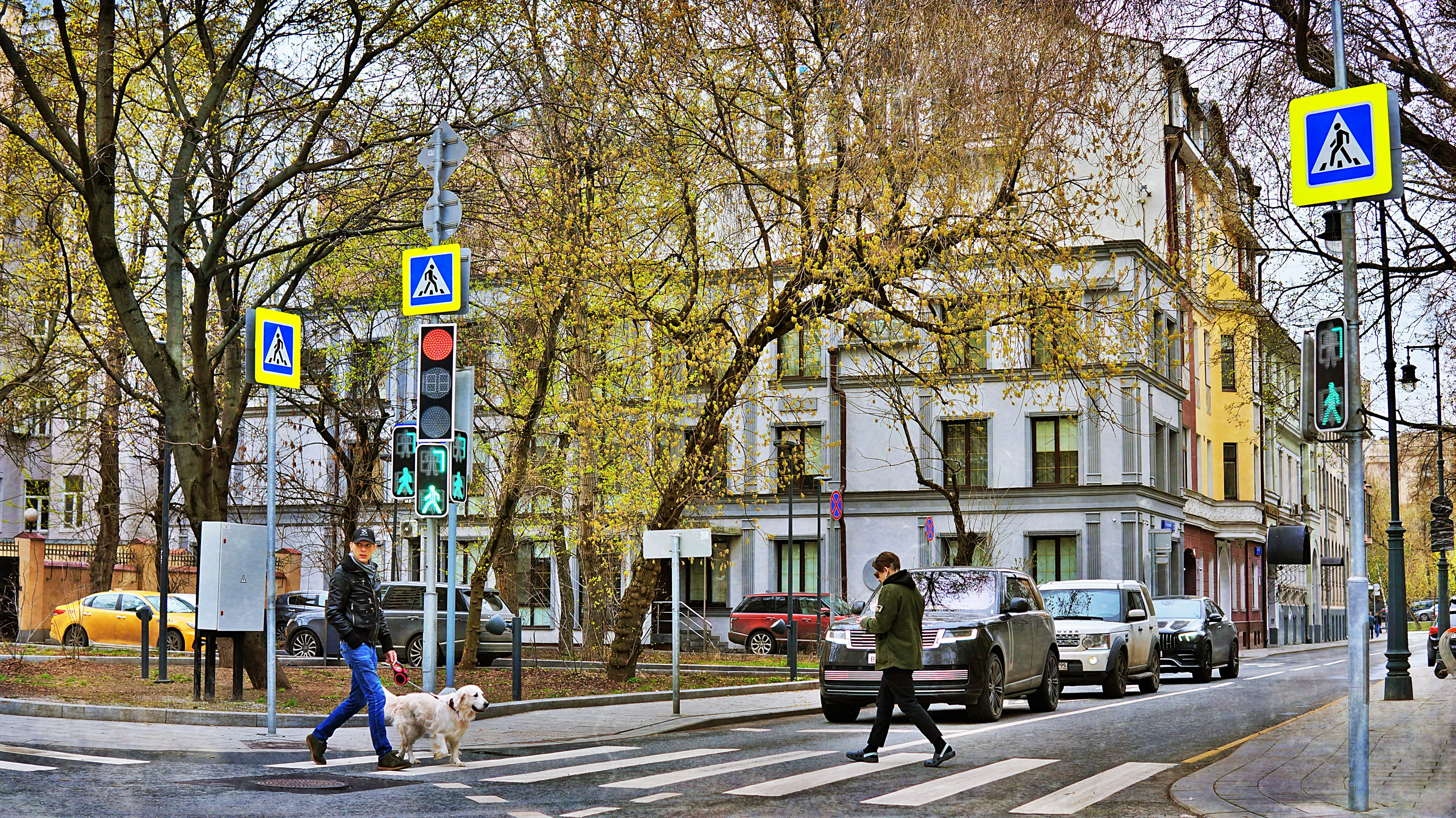 Crossing Voices: A Prague-like Street Scene with Pedestrians and a Dog
