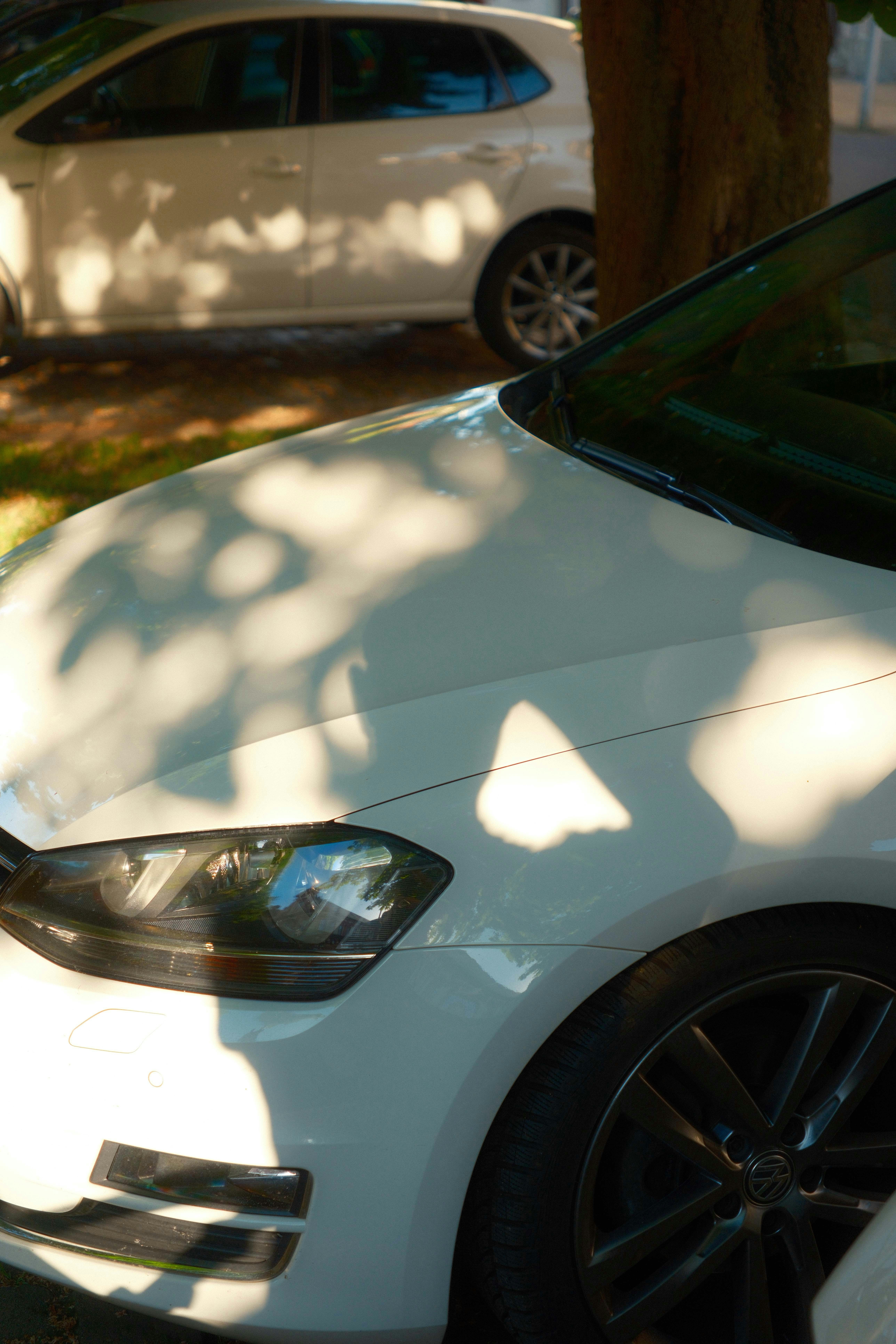Sunlit Shadows on a White Car: Dappled Light Through Leaves