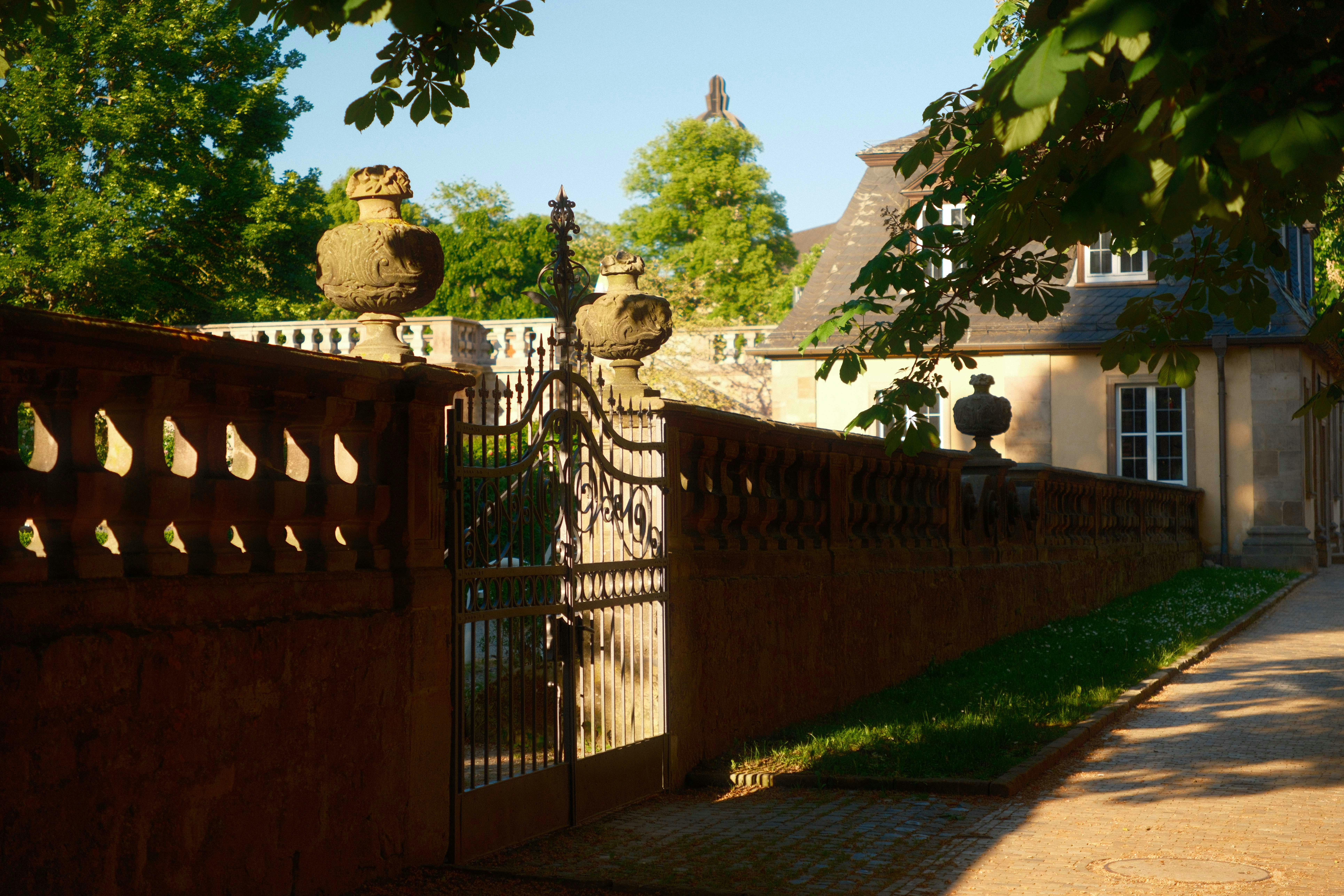 Sunlit Gatekeeper: A Quiet Path Through Sun-Dappled Grounds