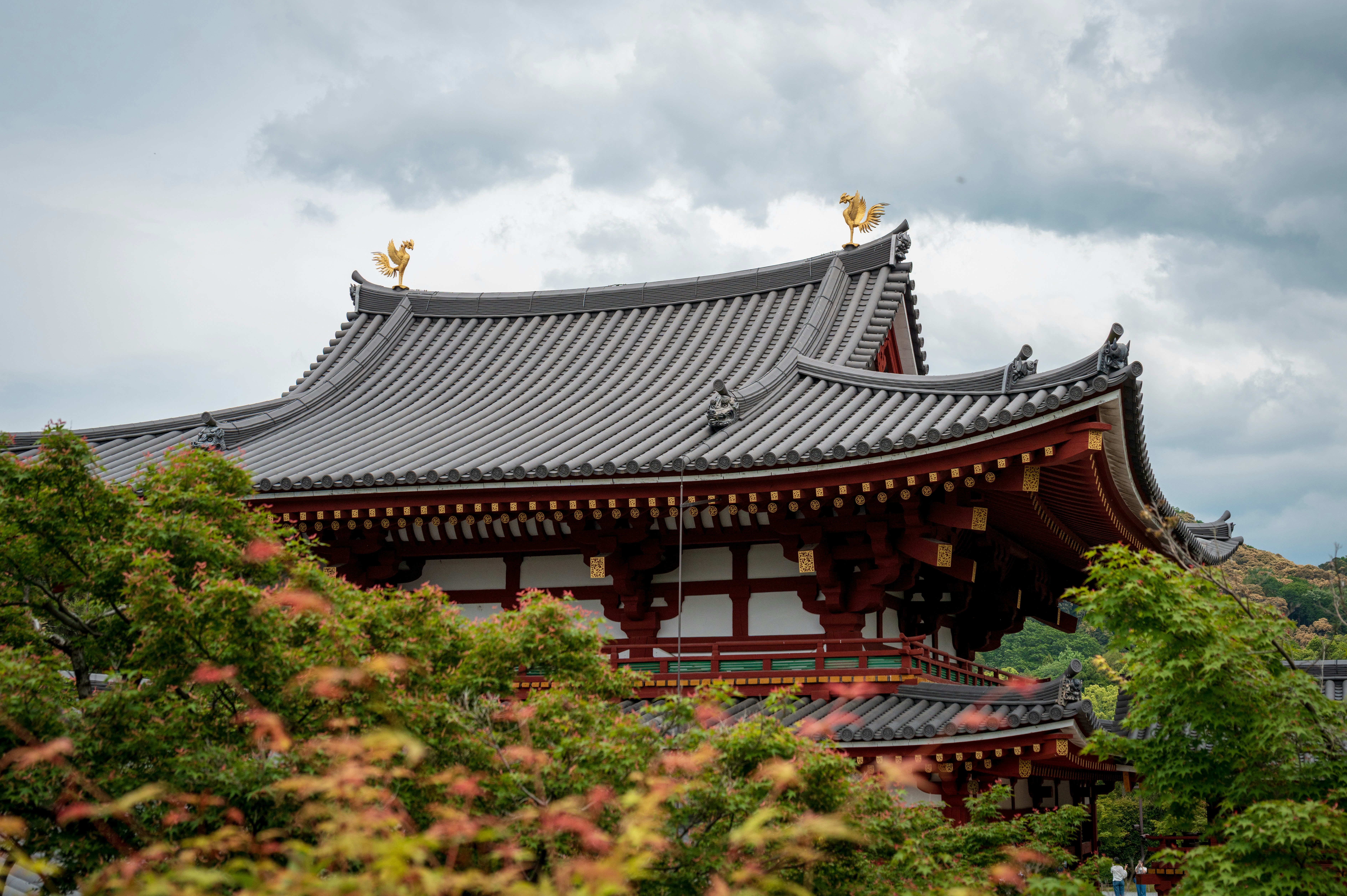 Temple Roofs Peering Through Spring Foliage