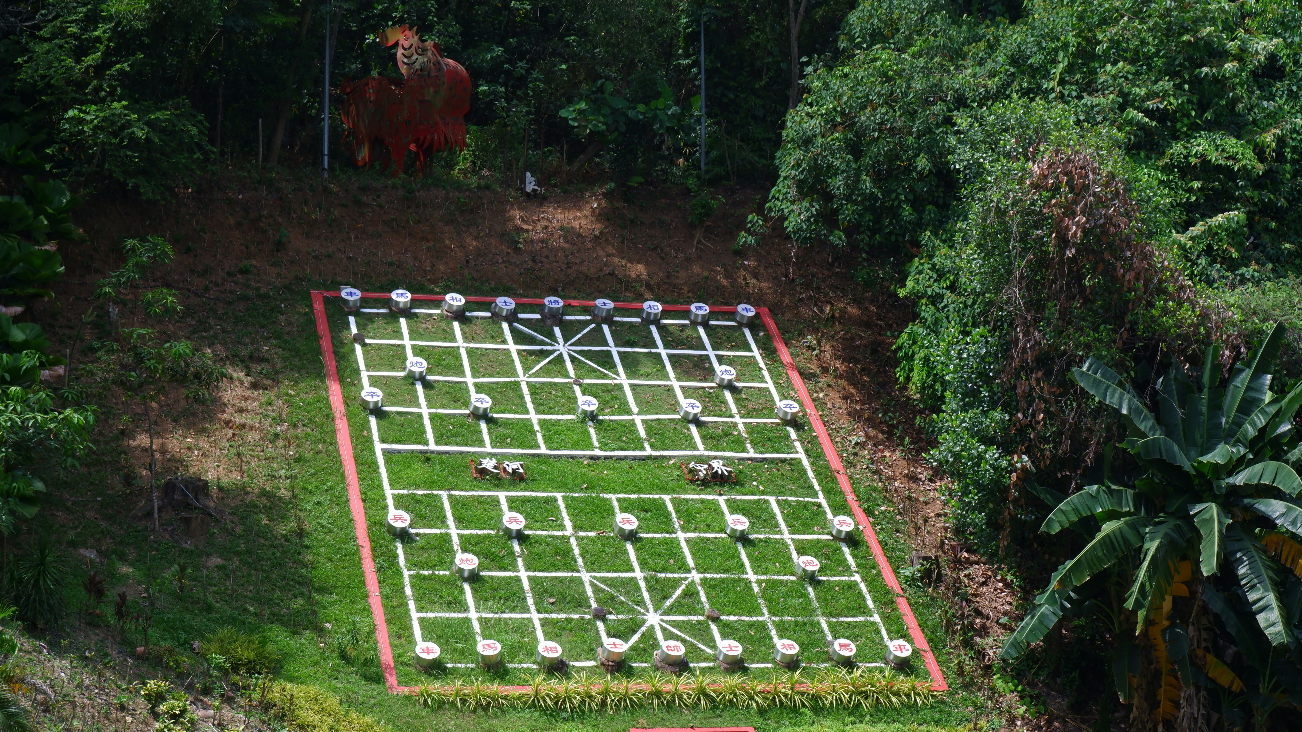 Strategic Grid: A Backyard Puzzle Carved in Grass