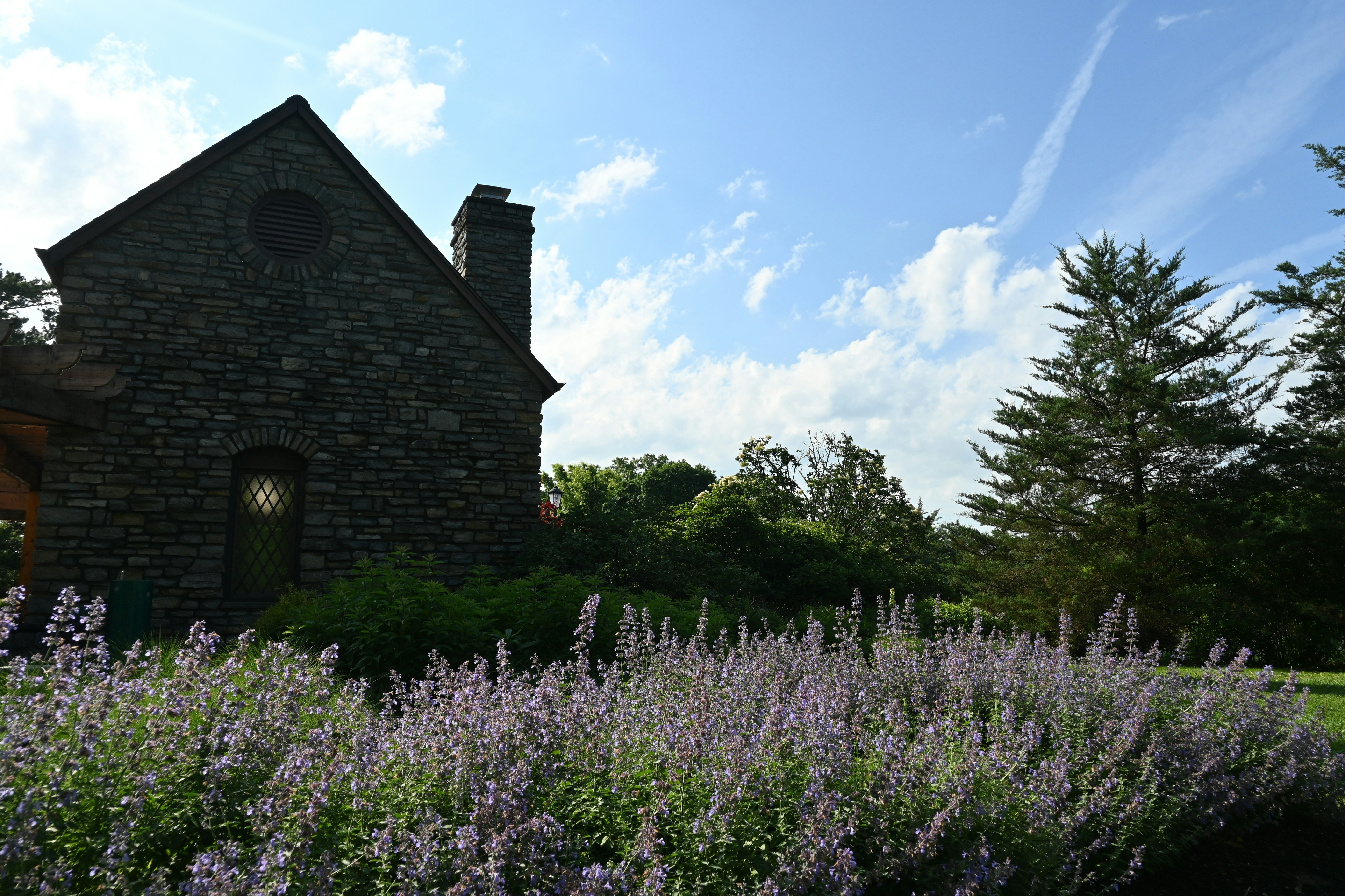 Stone cottage with a lavender meadow in the foreground and a bright blue sky above; landscape scene with bloom and greenery.