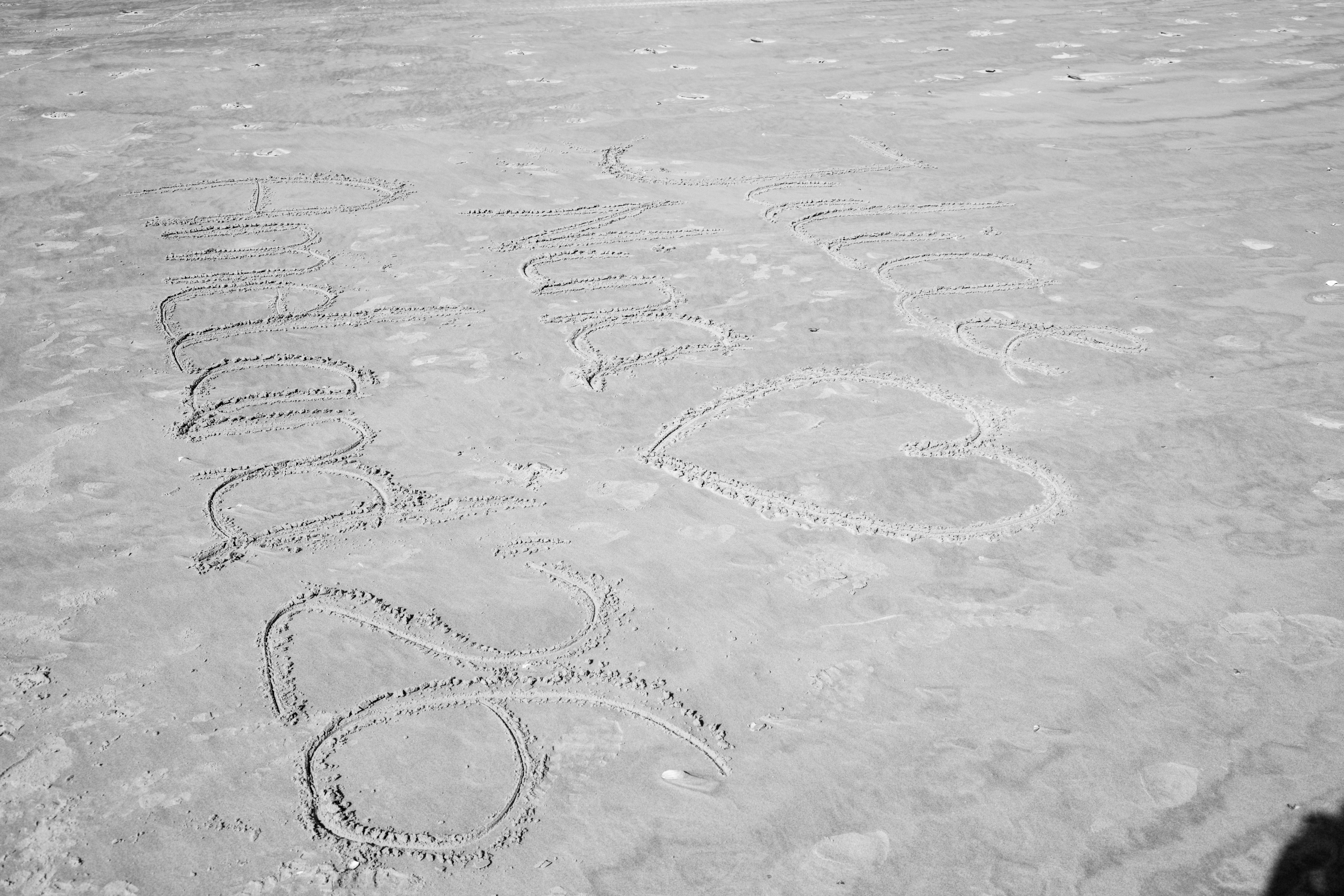 Echoes in the Sand: Circular Traces Retreat Across the Wet Shore