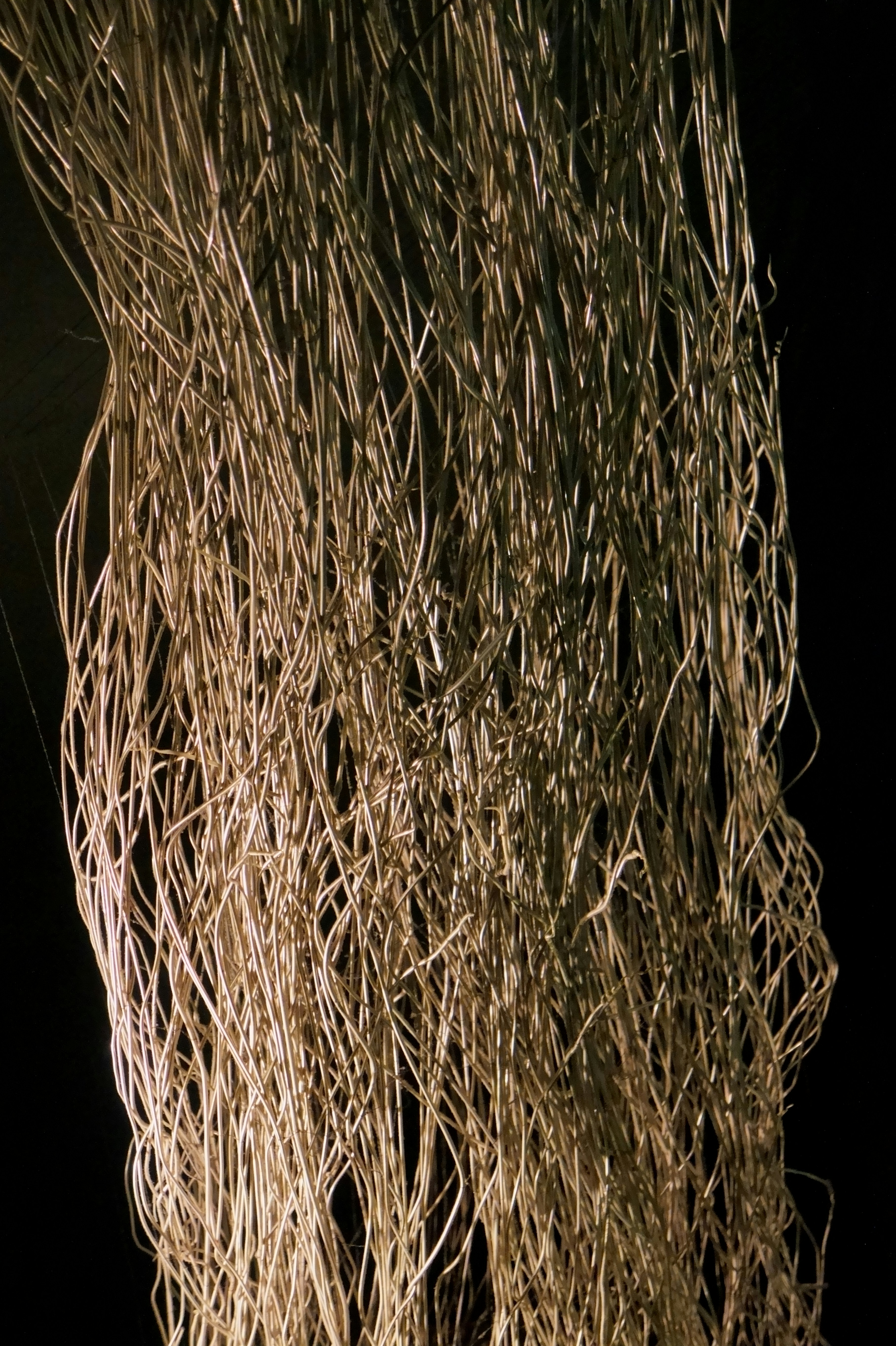Cascade of Golden Threads against Night