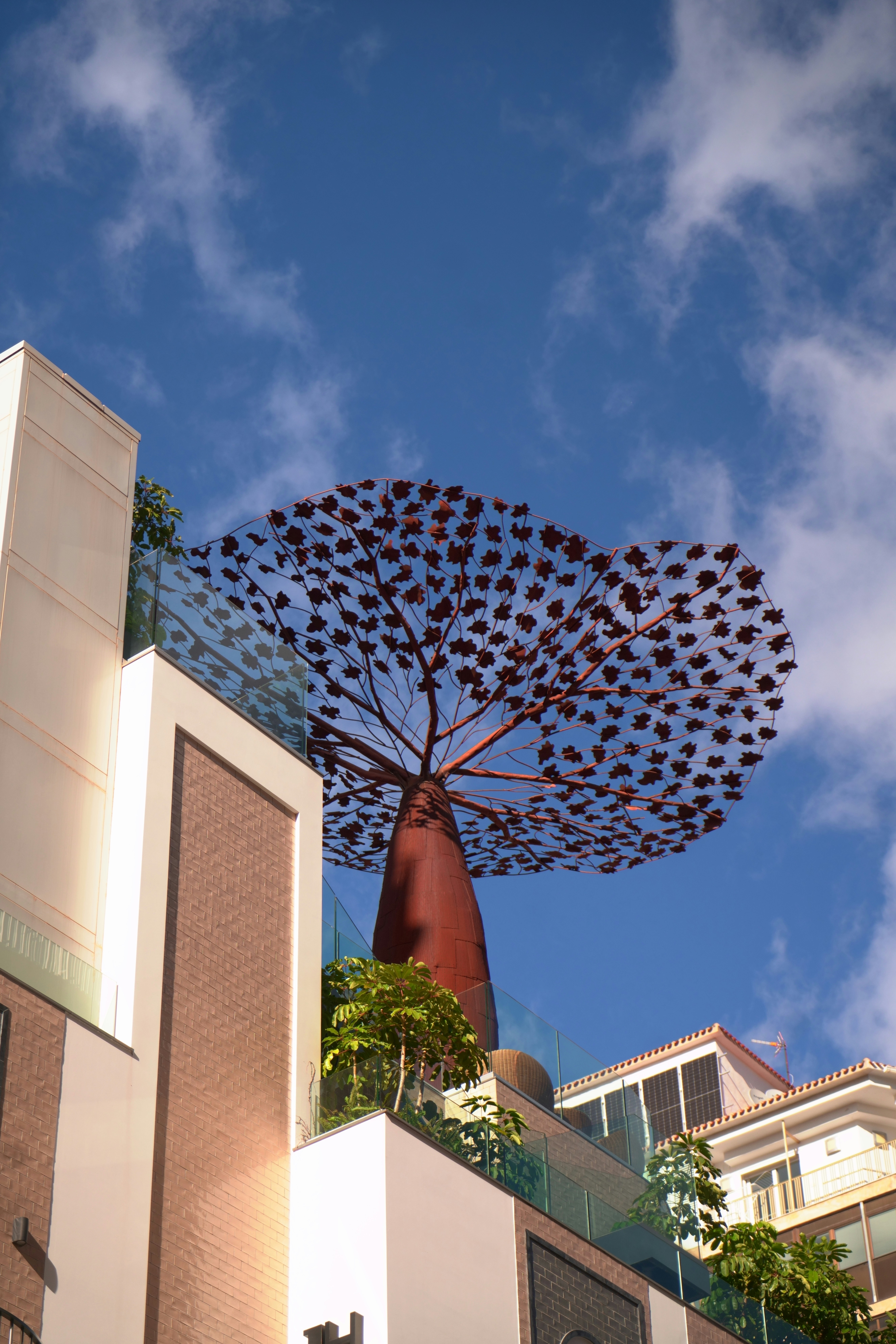 Urban Canopy: A Rooftop Sculptural Shade Spanning the Sky