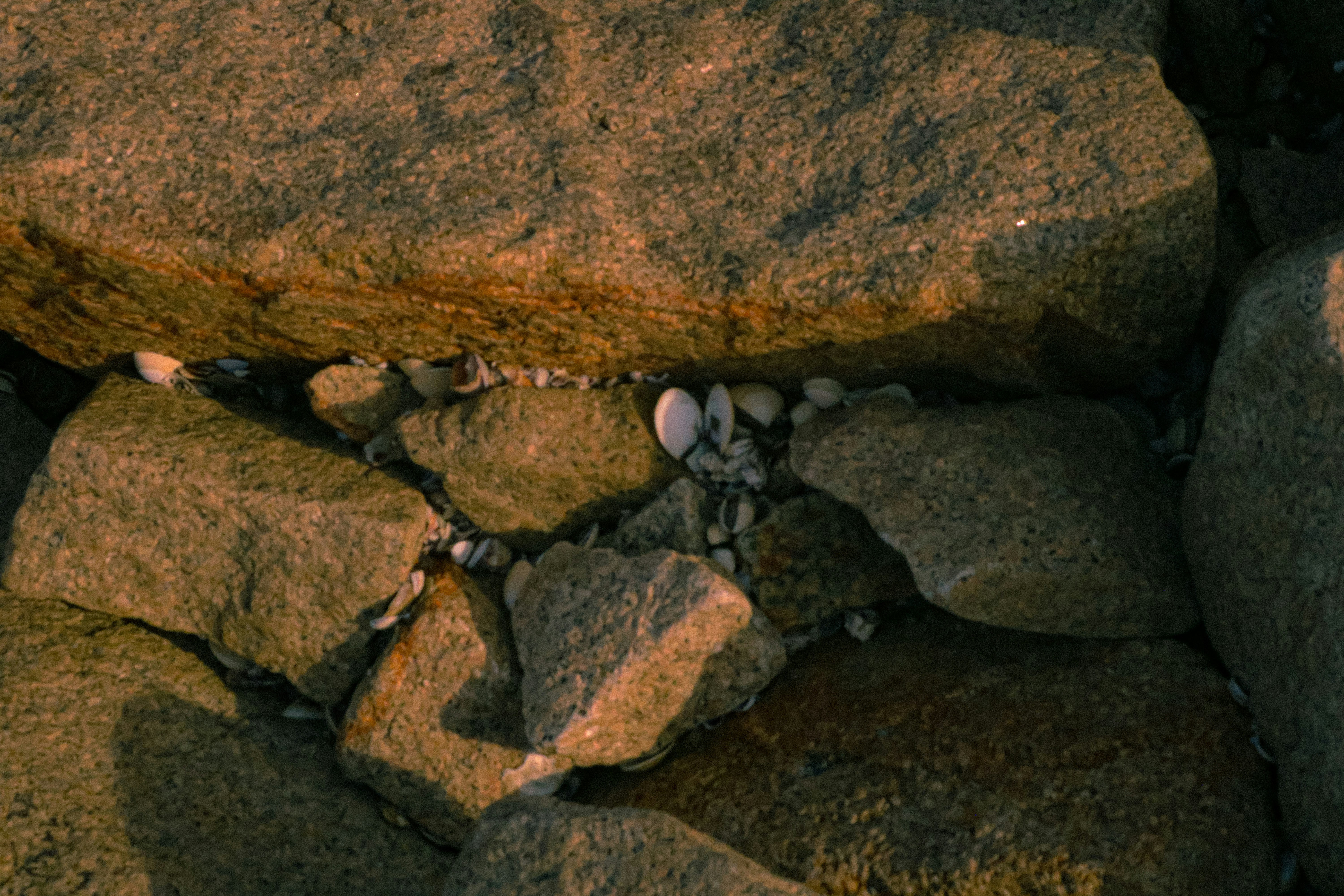 Pebble Mosaic in Golden Light