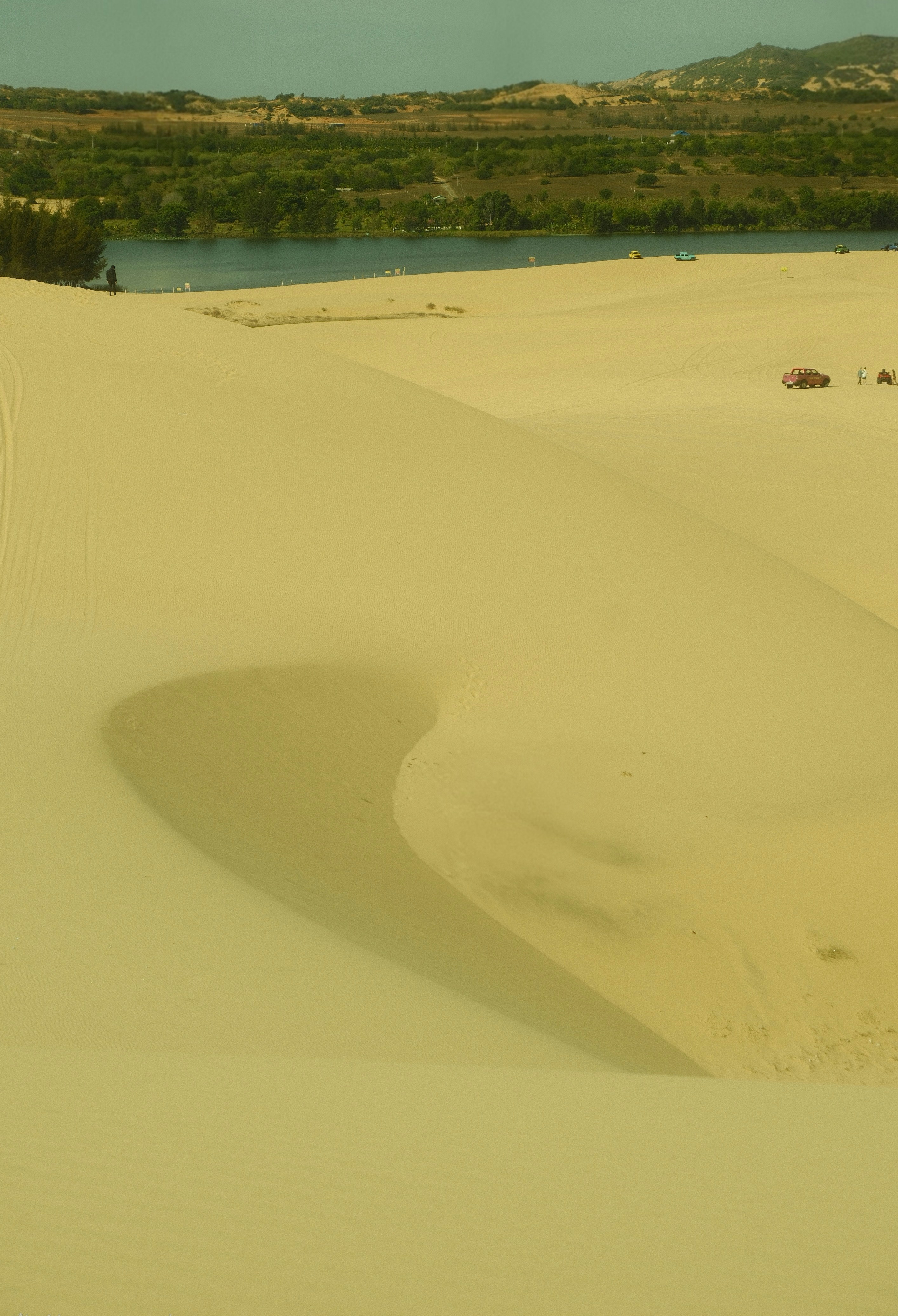 Golden Dunes and River Echoes