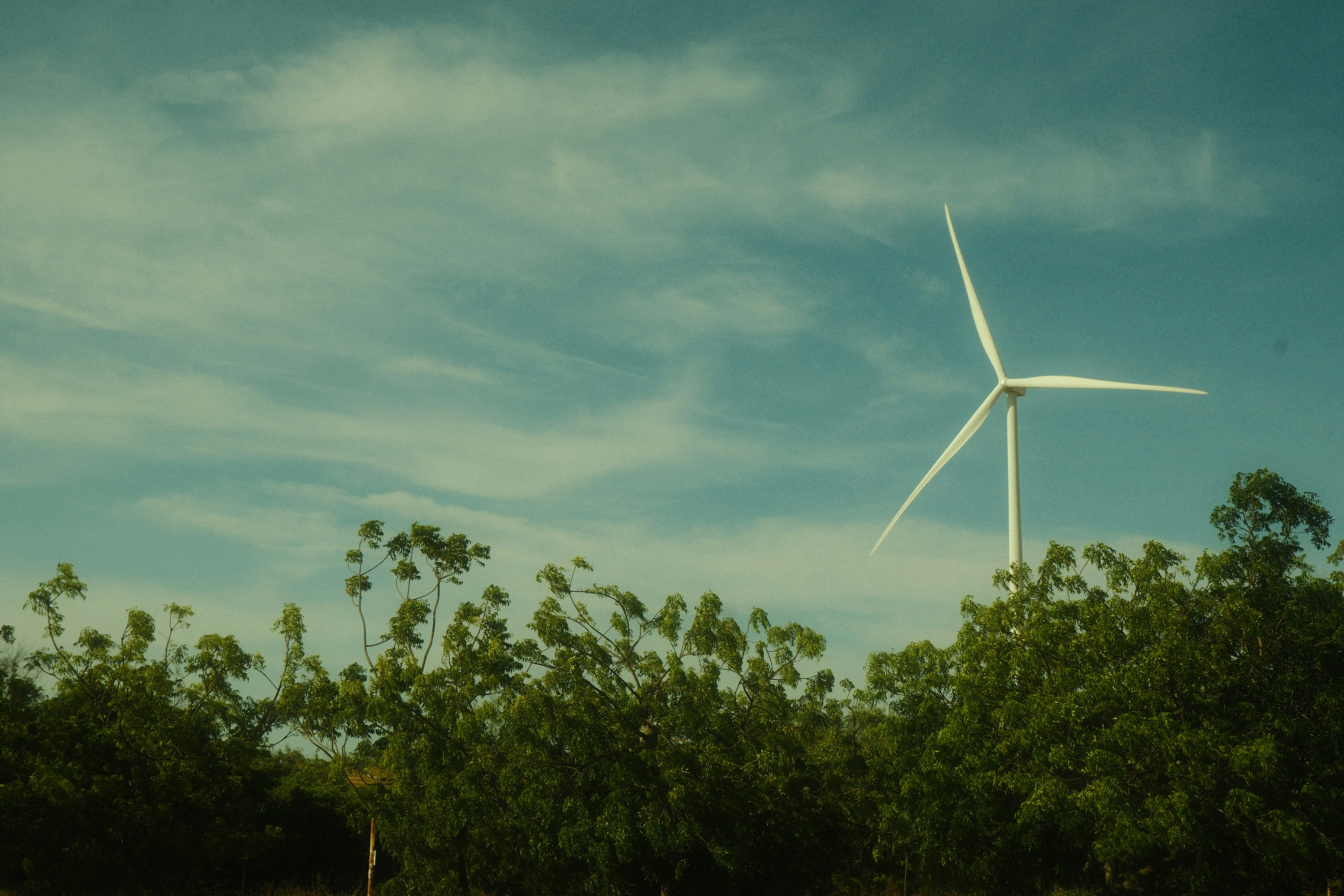 Wind turbine rises above green trees under a blue sky.