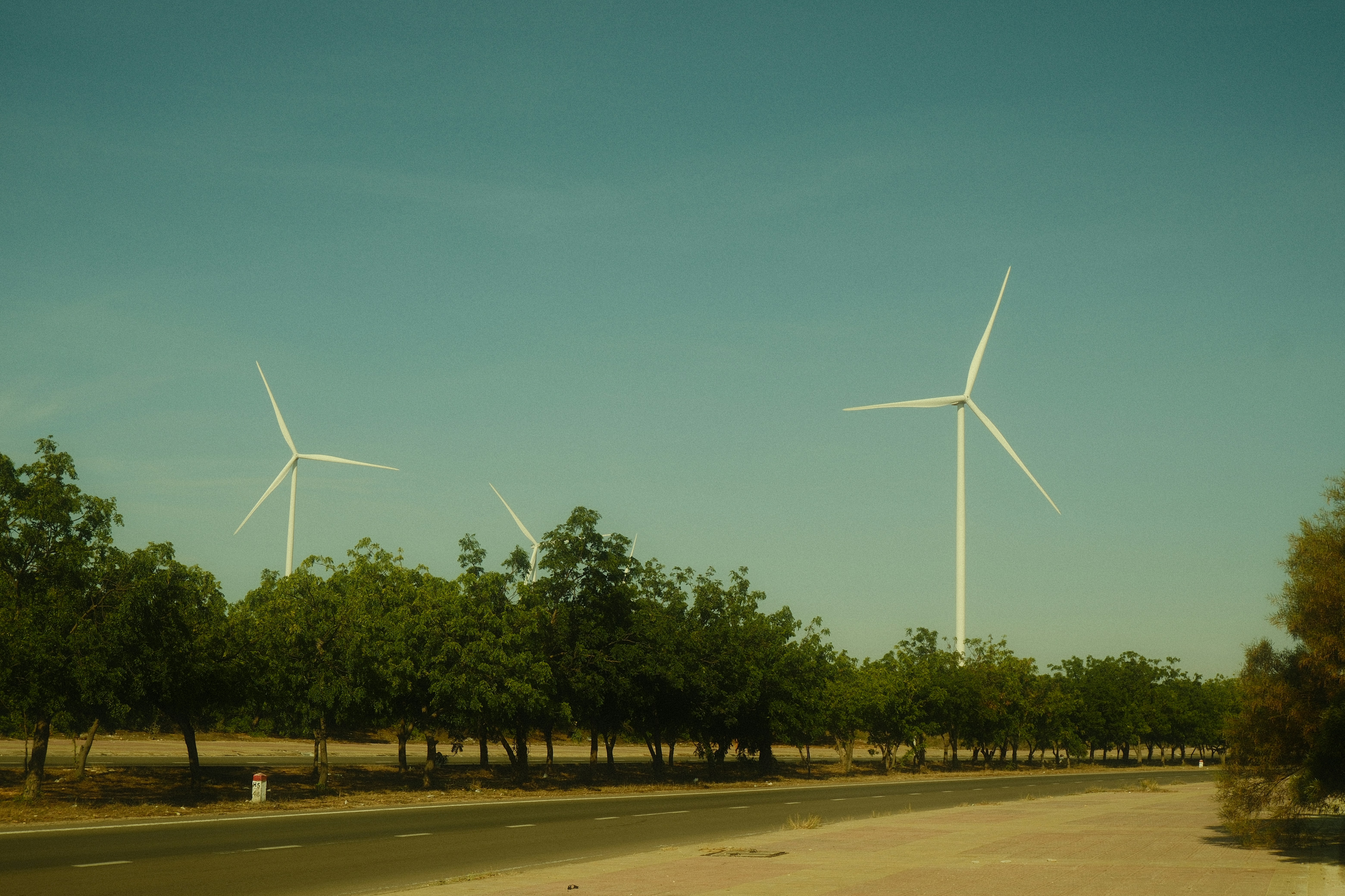 Windward Silence: A Row of Turbines Over a Flat Horizon