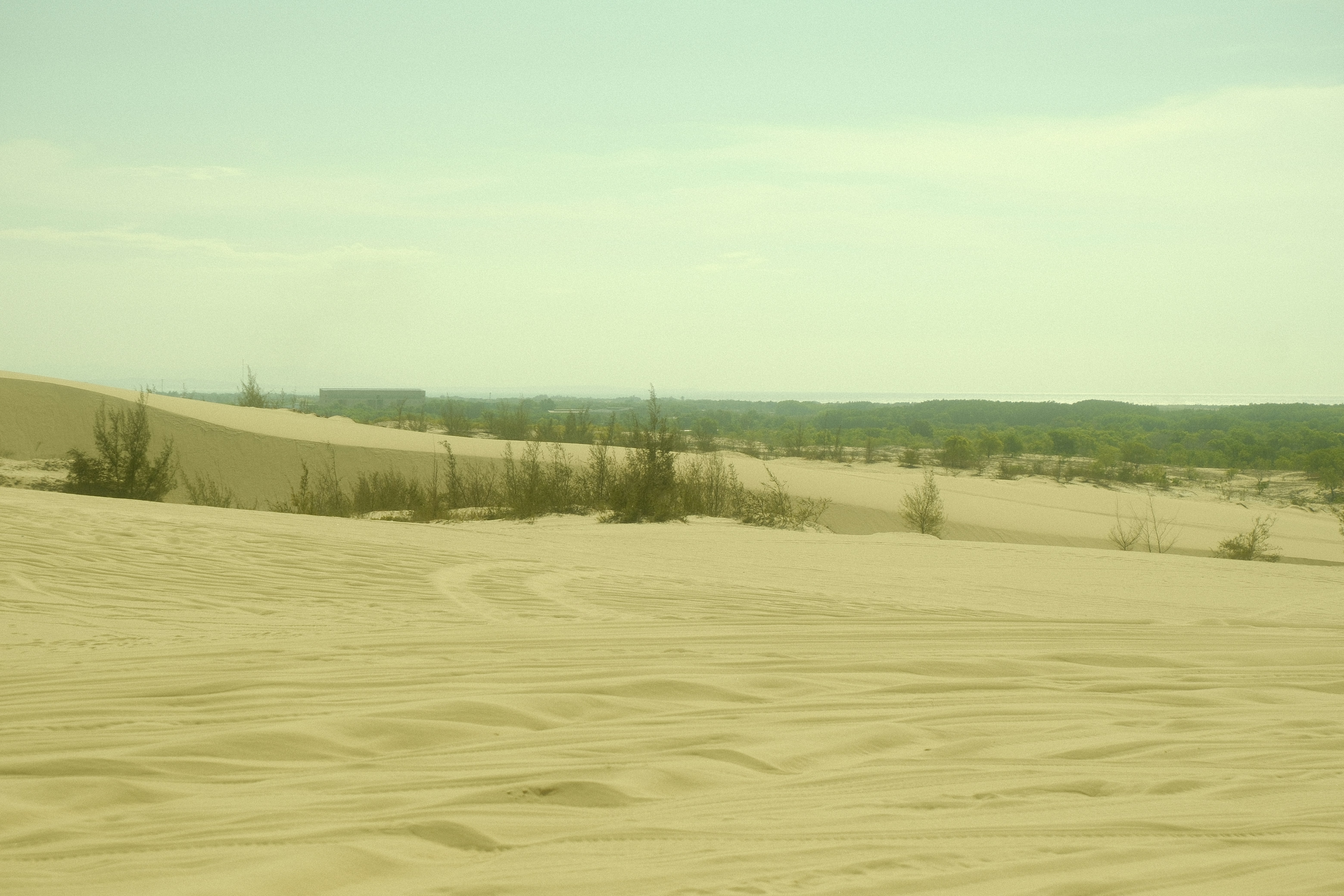 Desert Quiet: Sand Dunes under a Soft Golden Sky