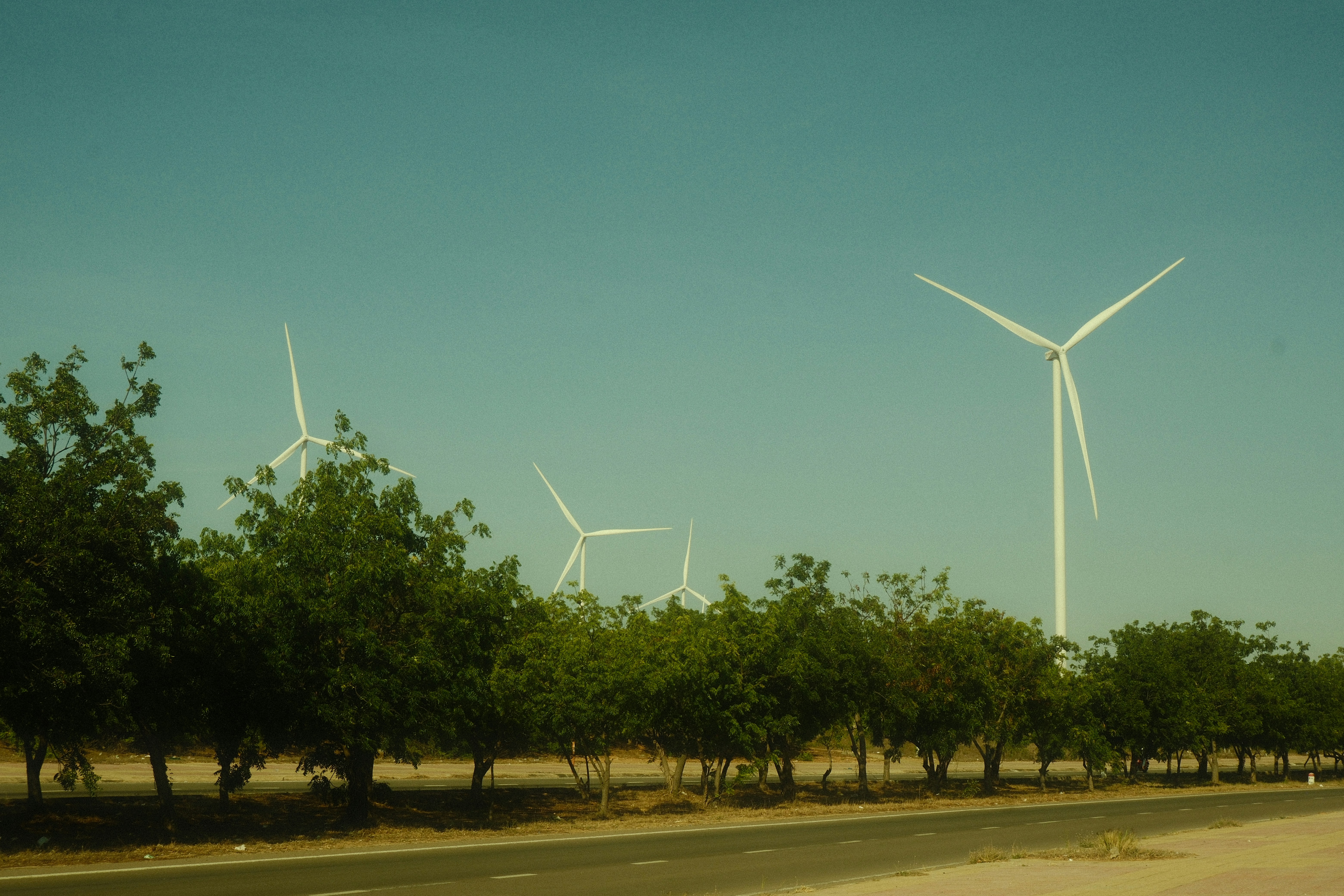 Wind Farm Blues: Wind Turbines Framing a Desert Road