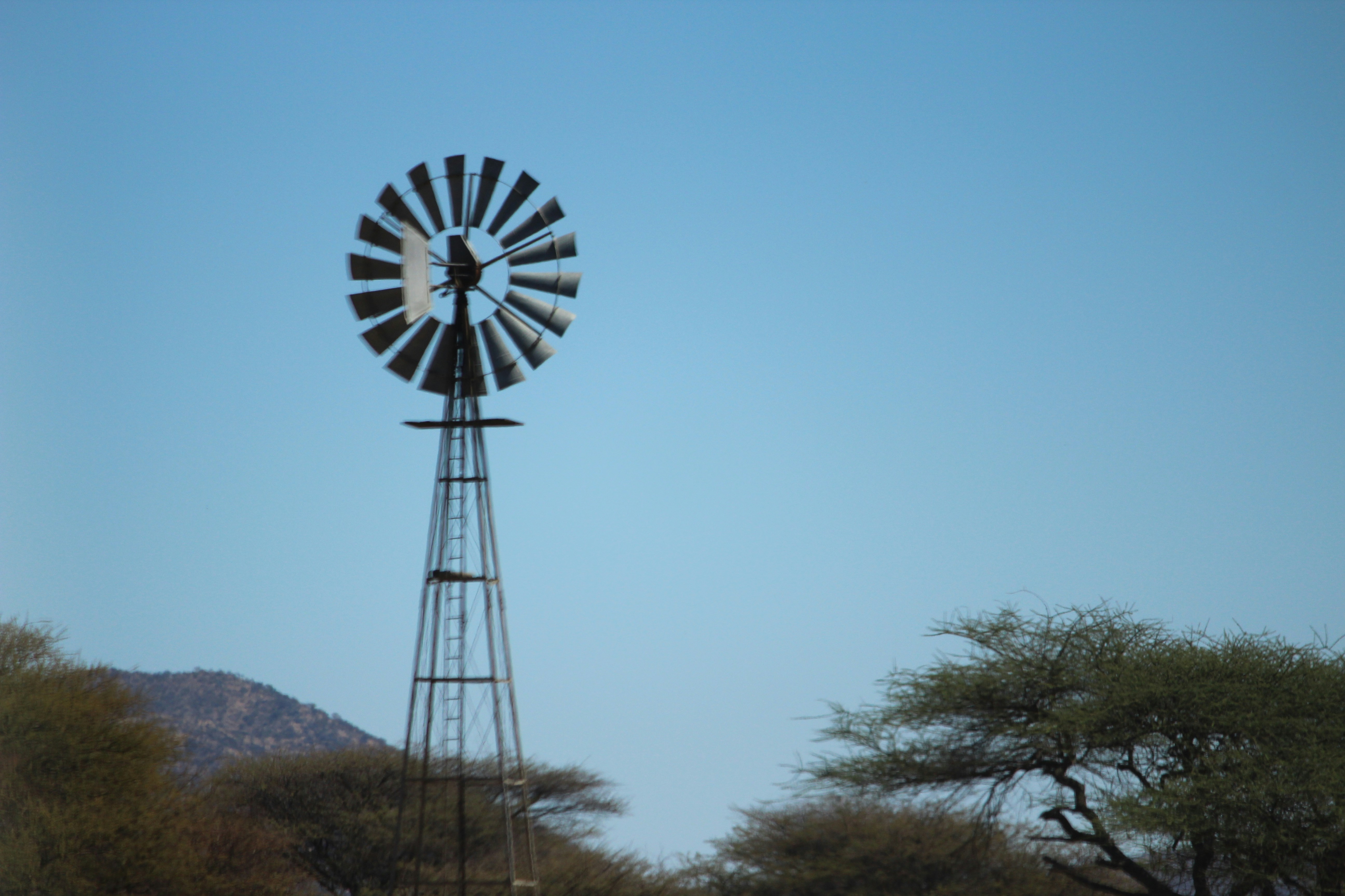 Windmill Sentinel Against a Clear Desert Sky