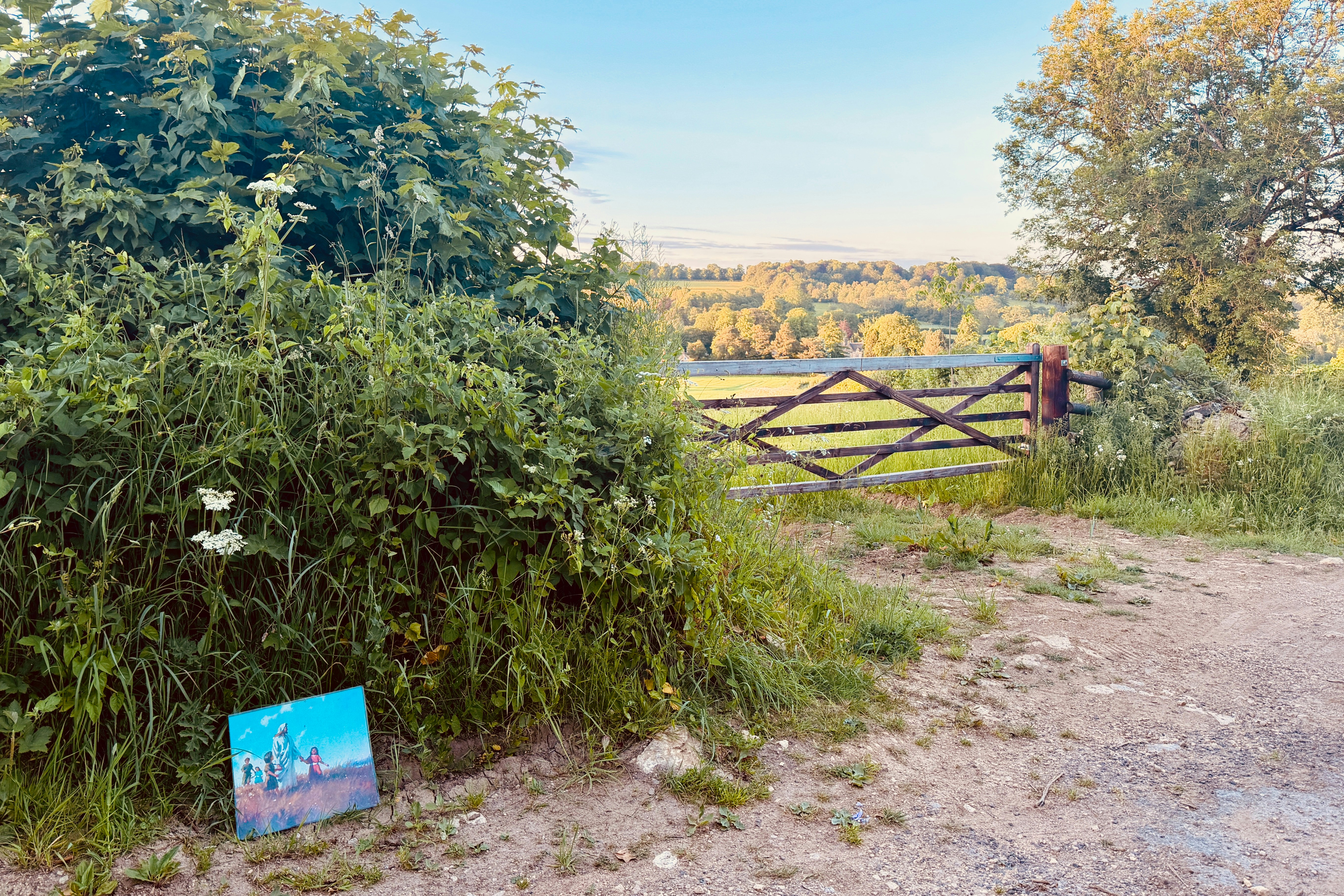 Quiet Meadow Gate at Dusk