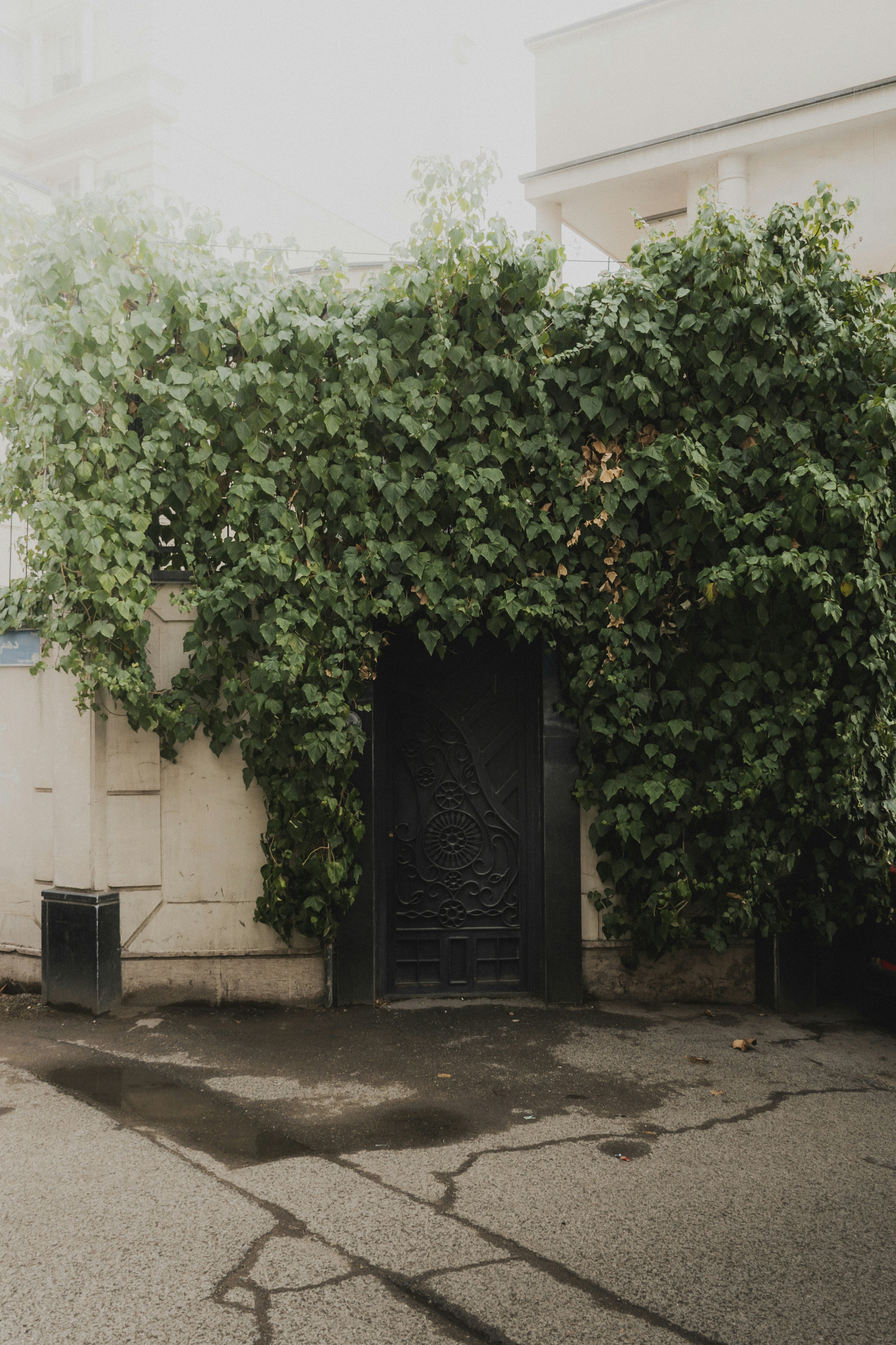 Green Archway over a Hidden Doorway