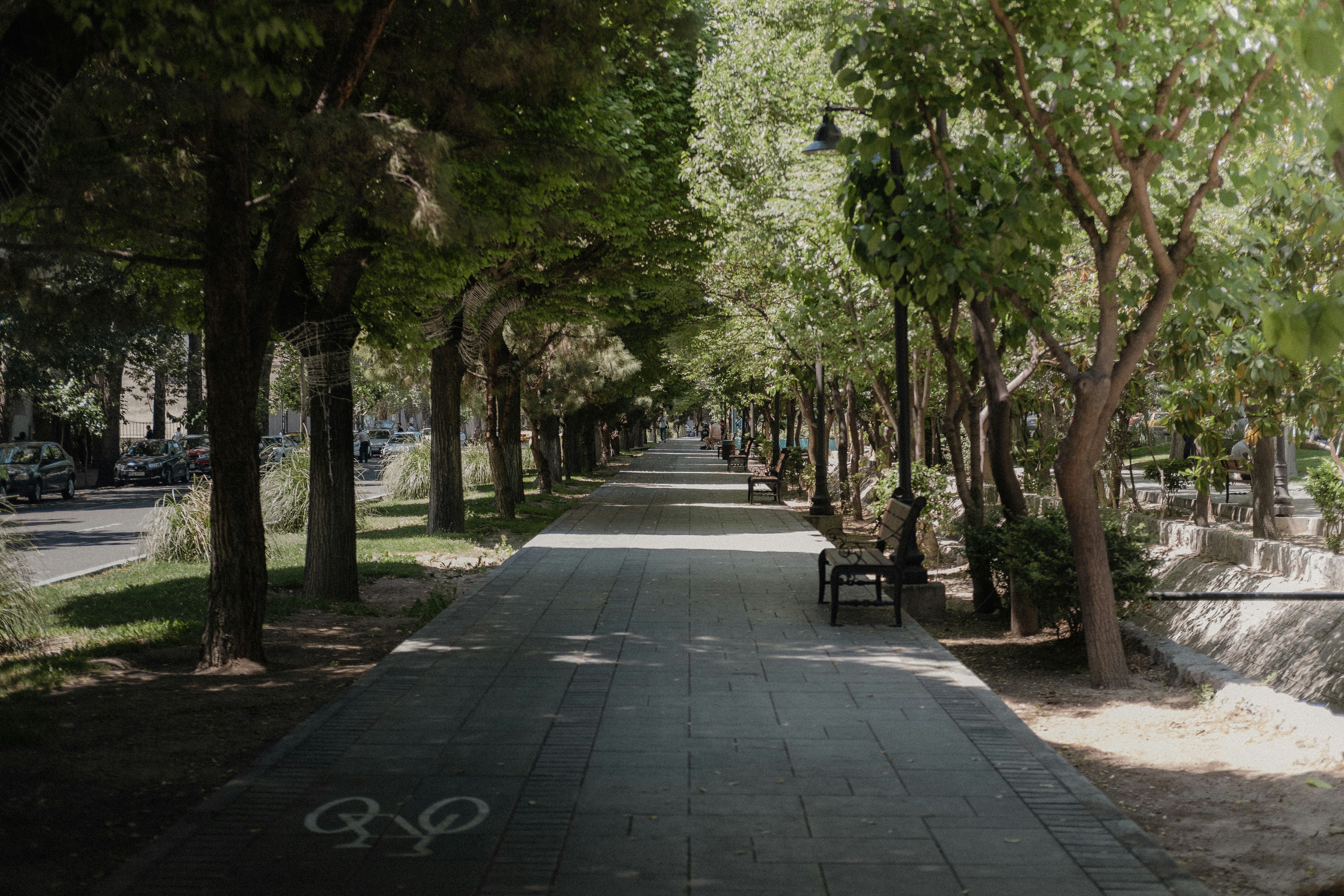 A long, tree-lined pathway with a bench and bicycle symbol.