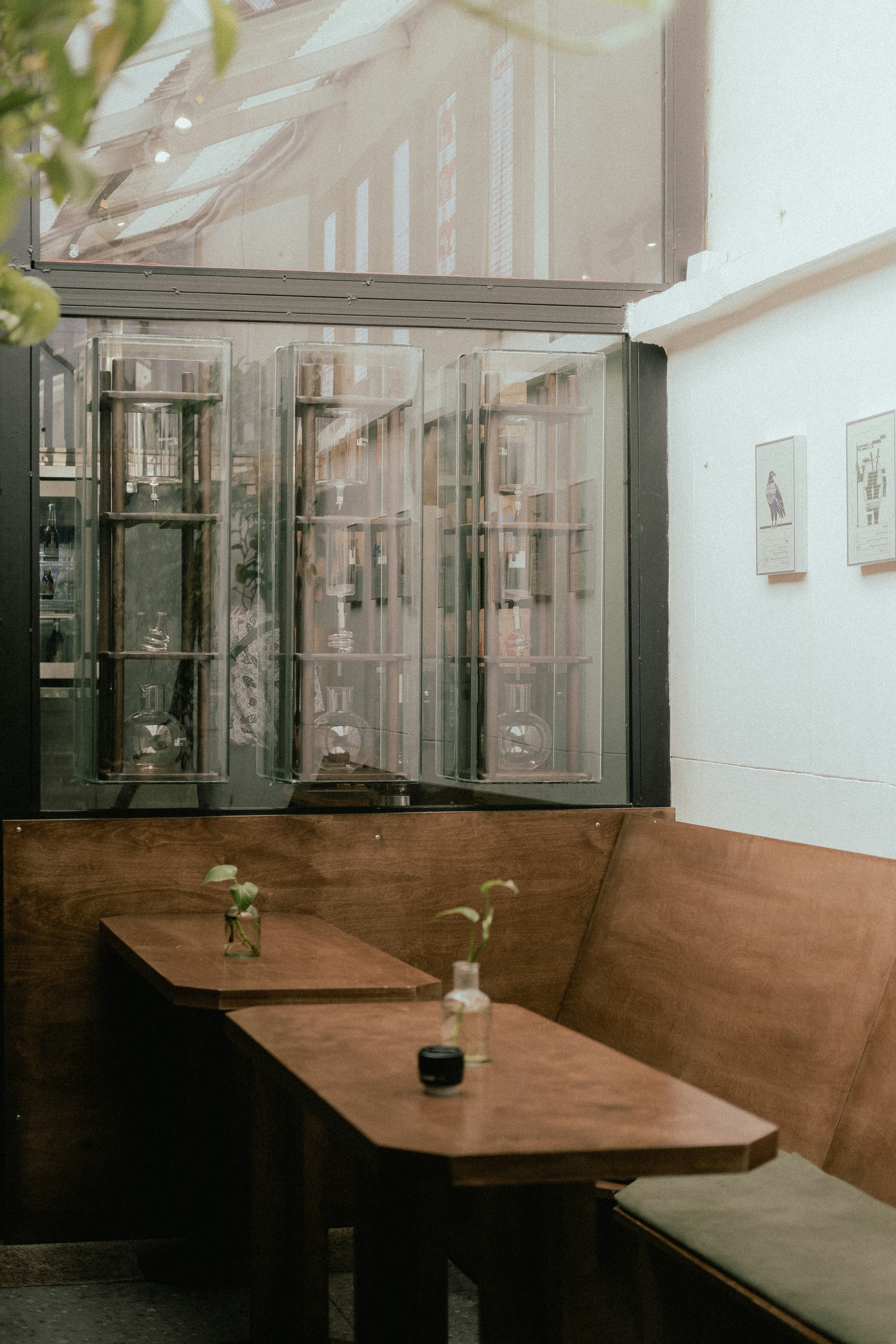 Quiet Corner of the Café with Greenery and Glass Cabinet