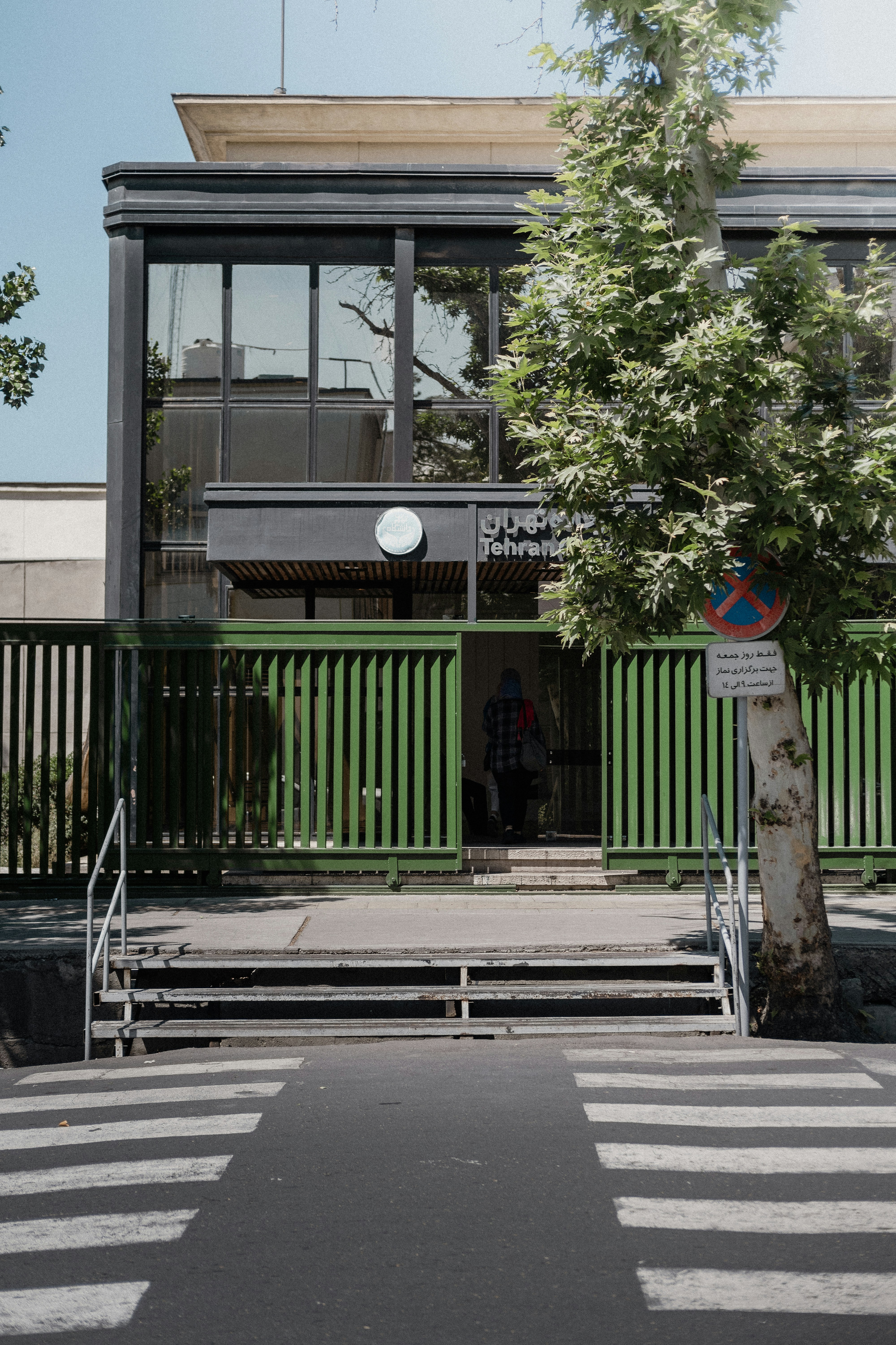 Green Gate Silence: A School Entrance Framed by a Tree