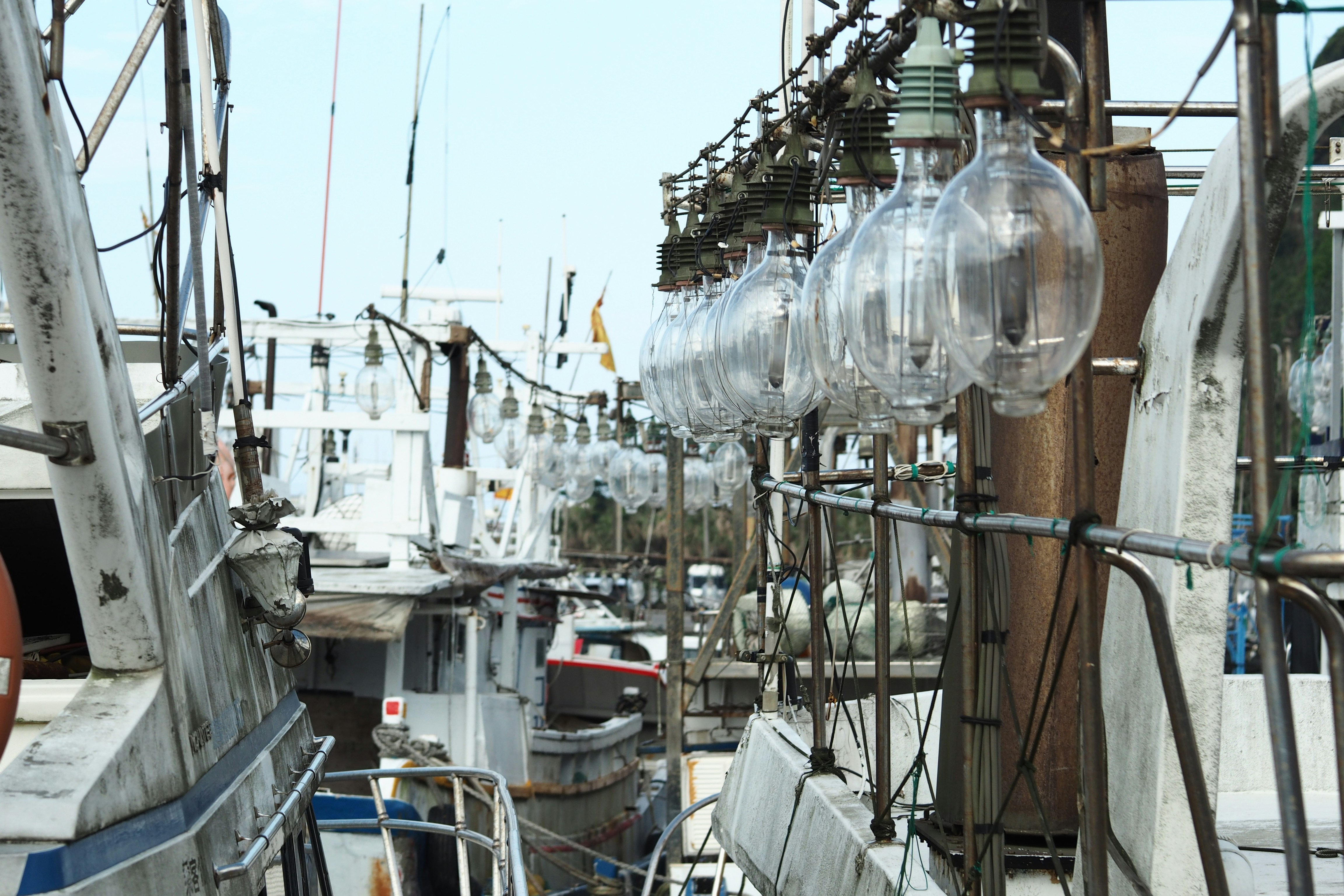 Marina Necks: A Corridor of Boats and Glass