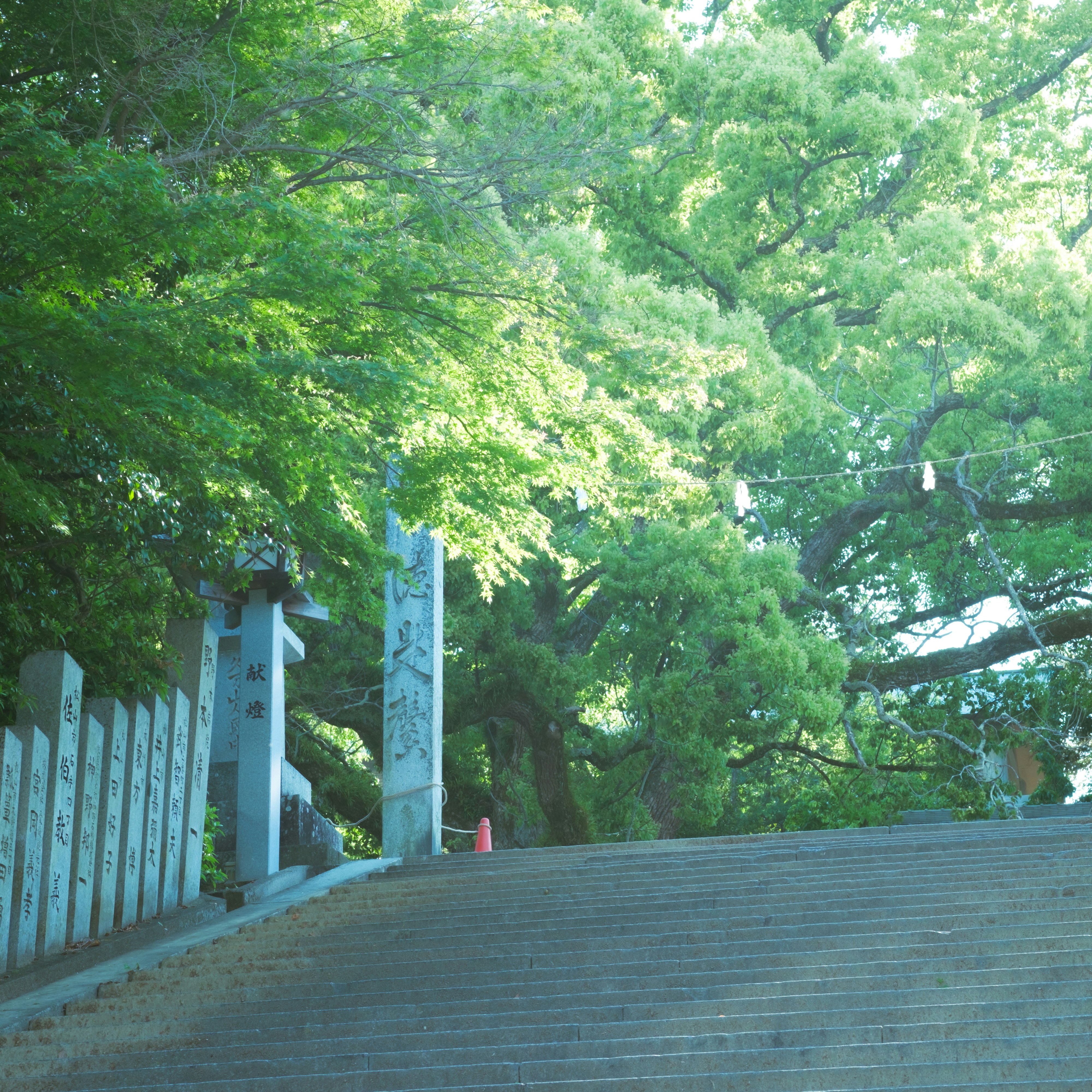 Sunlit Shrine Steps Amidst Quiet Greenery