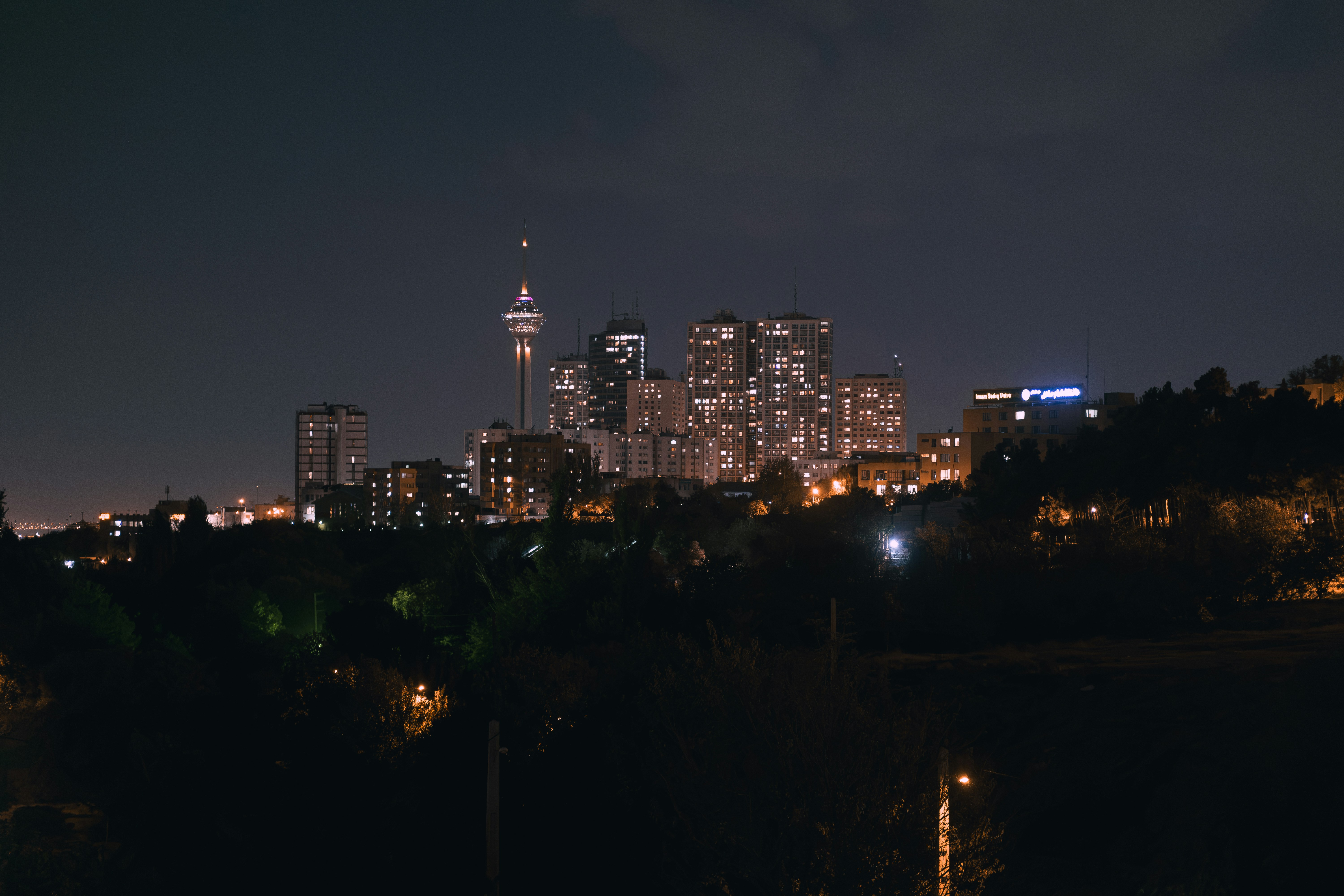 Midnight Skyline: City Lights Above the Trees