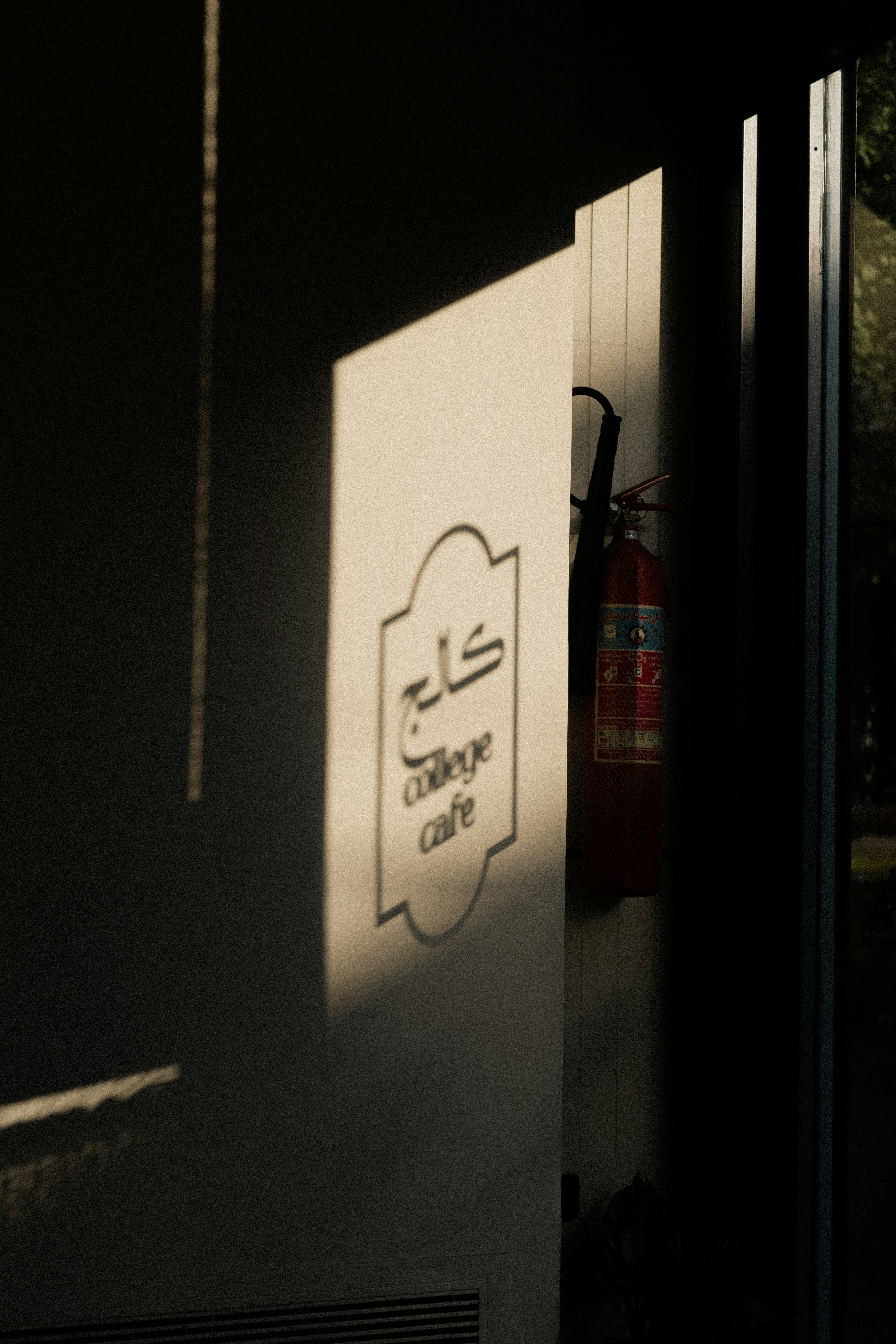 Shadows and Signage: A Quiet Corridor of Light