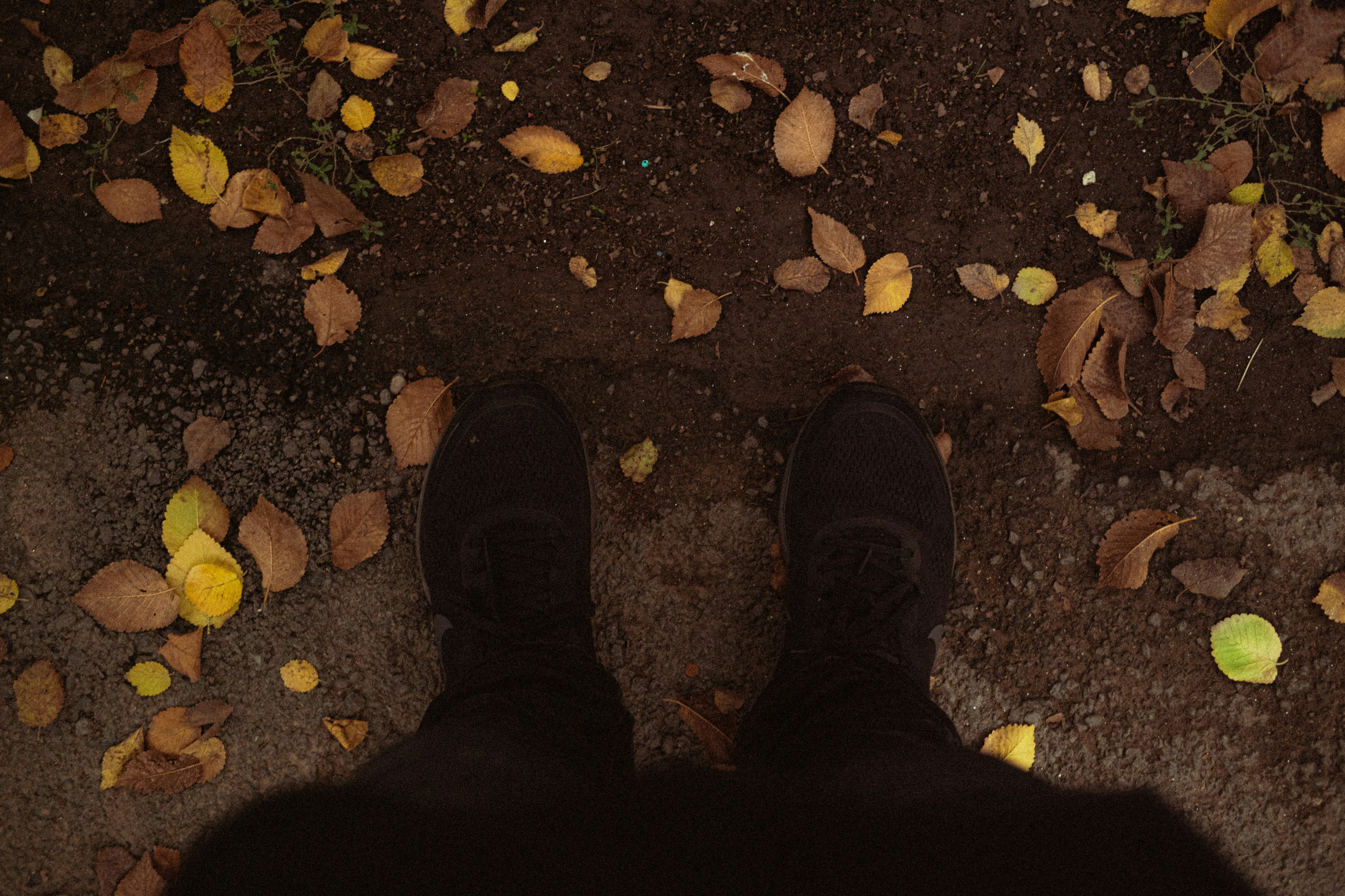Dark Ground, Fallen Leaves: Feet Stepping into Evening