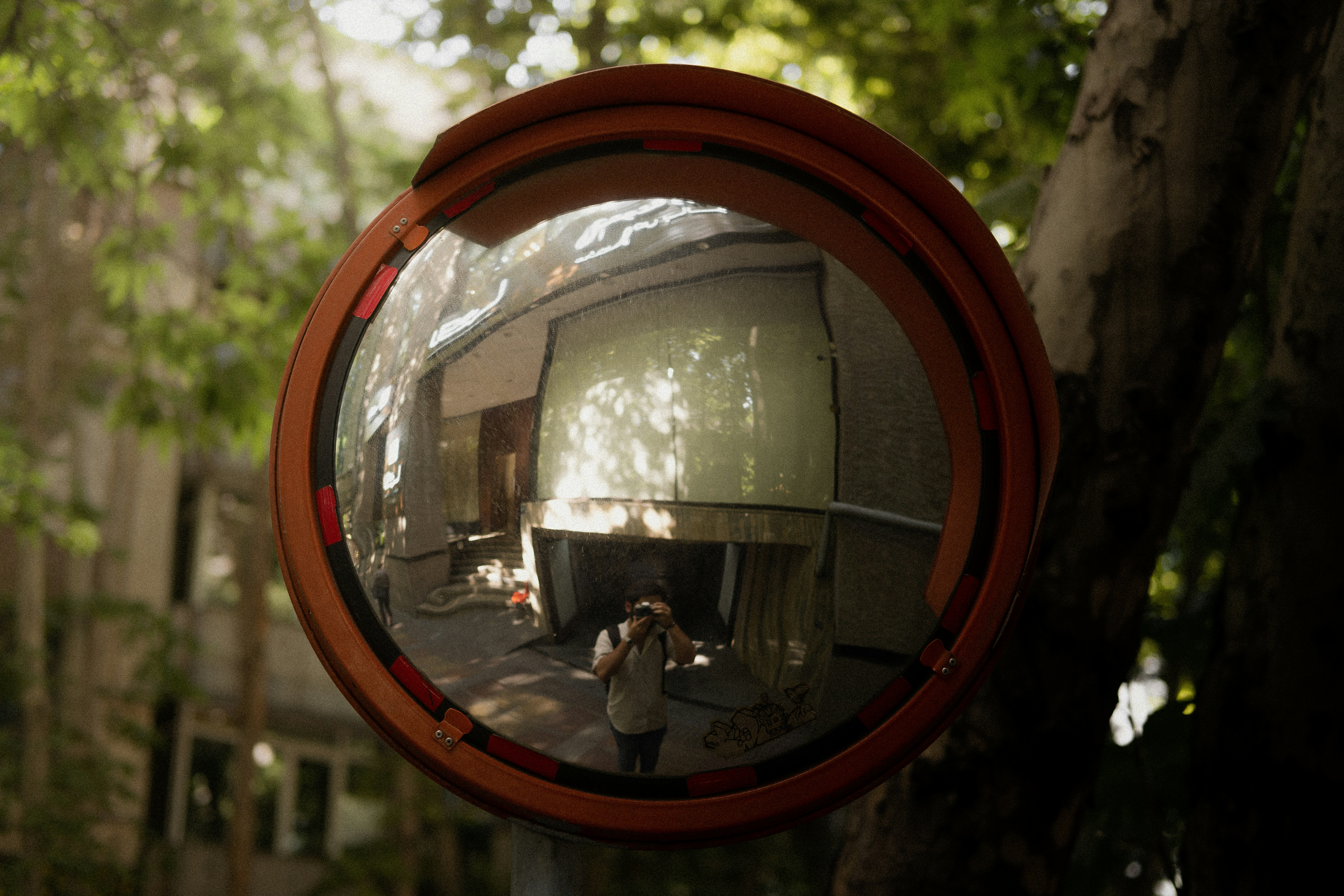 Circular Lens Echo: Reflections of a Photographer in a Canyon of Glass
