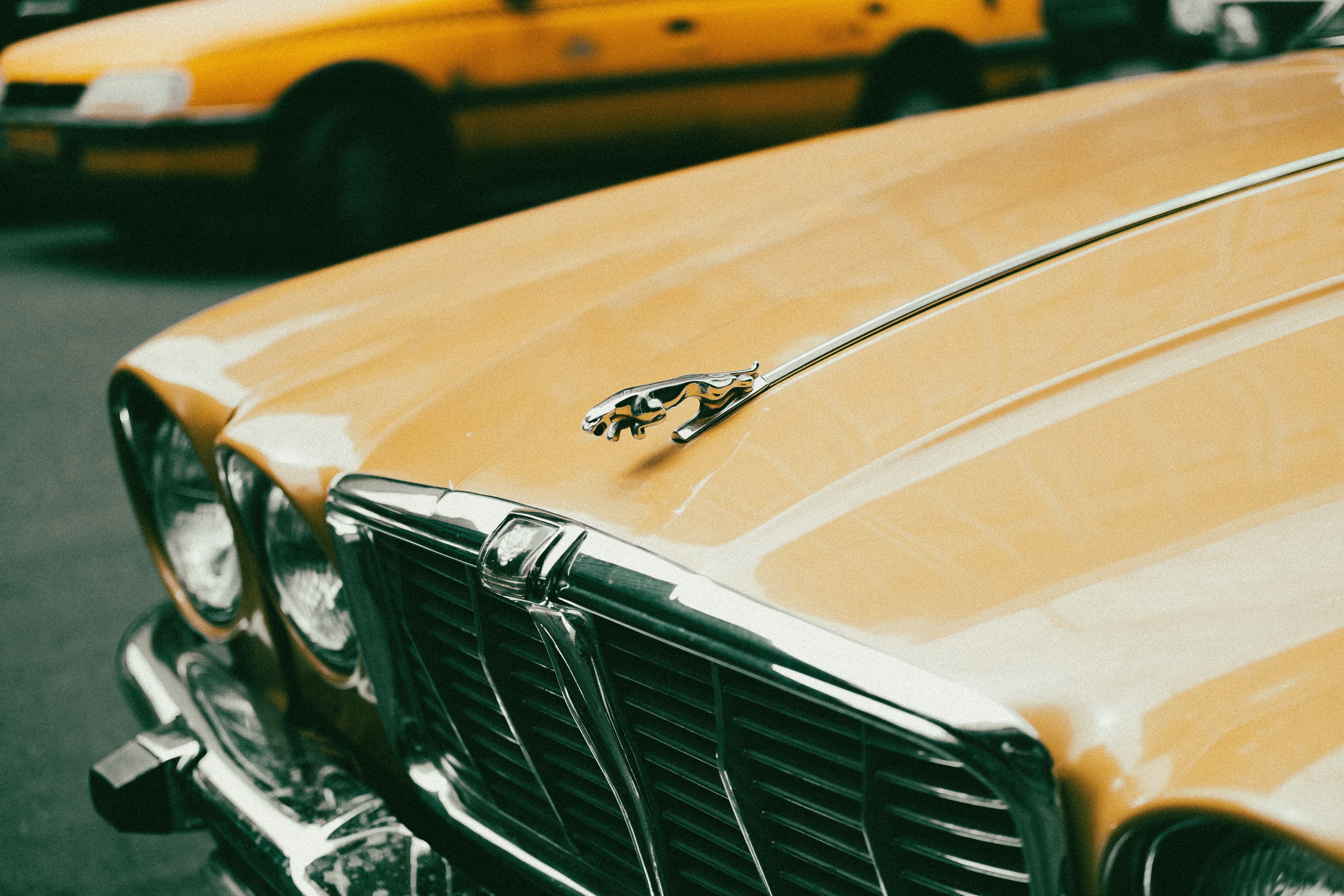 Chrome Grille and Jaguar Emblem: A Glimpse of Vintage Drive