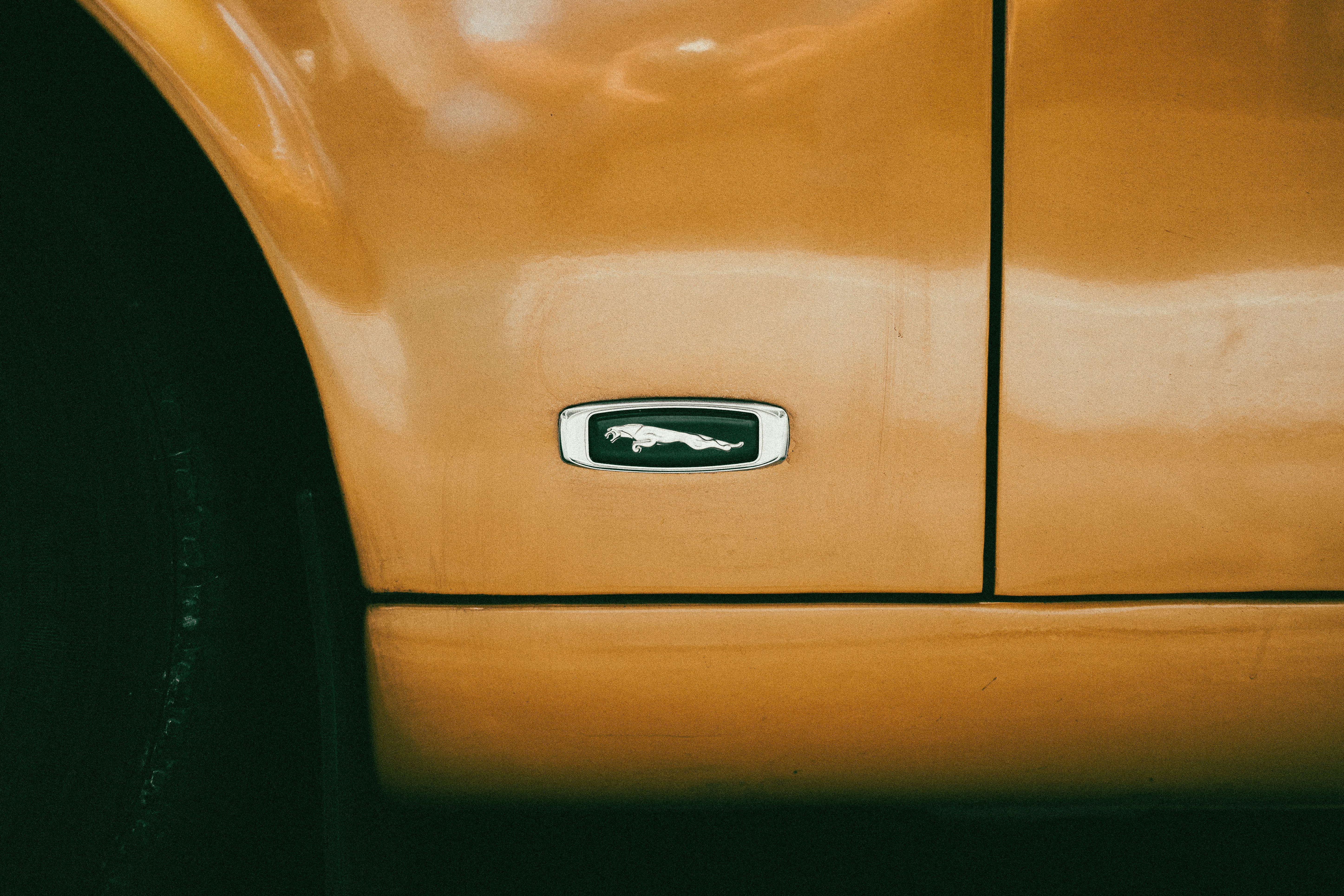 Jaguar car logo on a golden side panel.