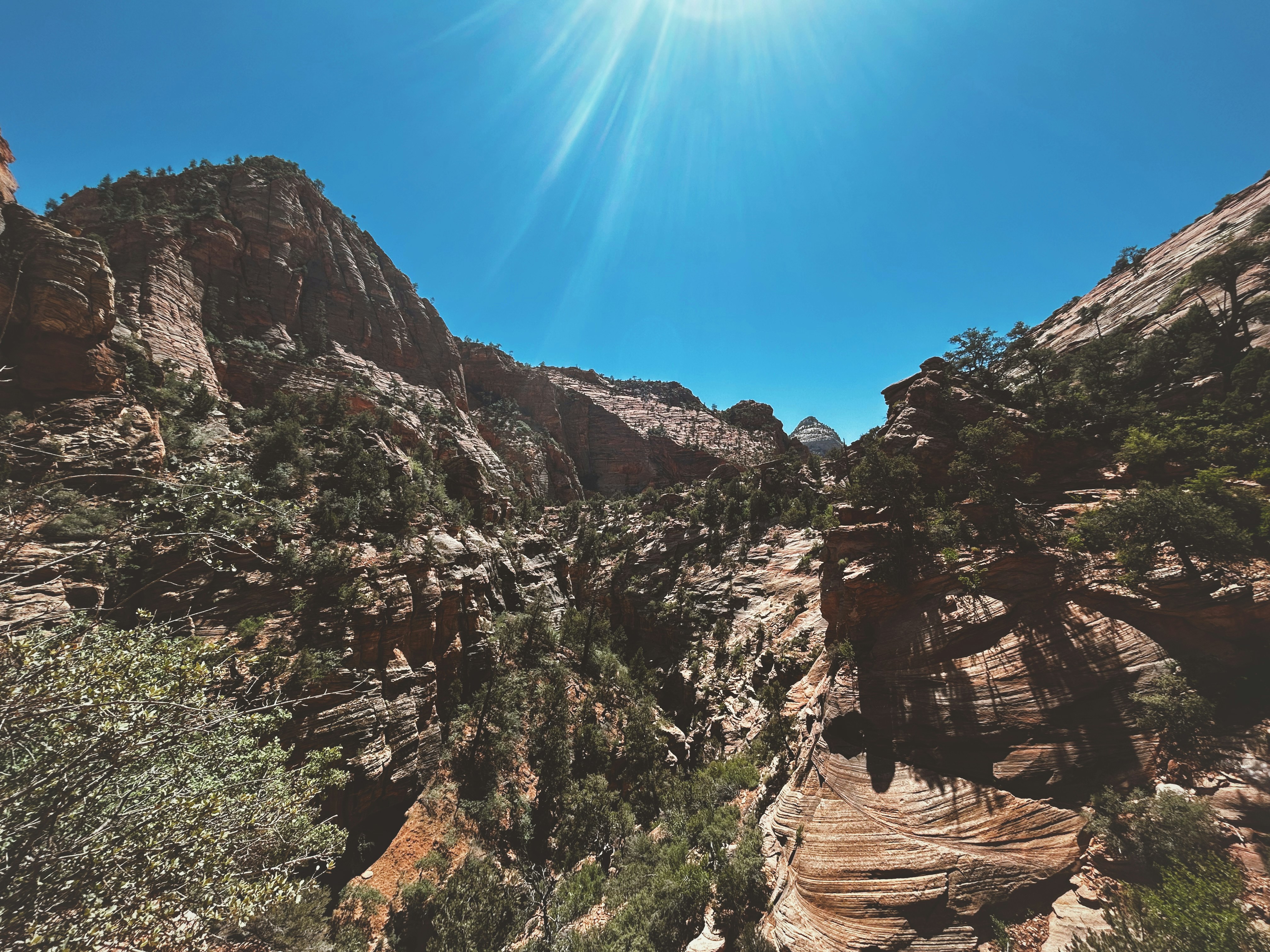 Sunlit Canyon Reverie