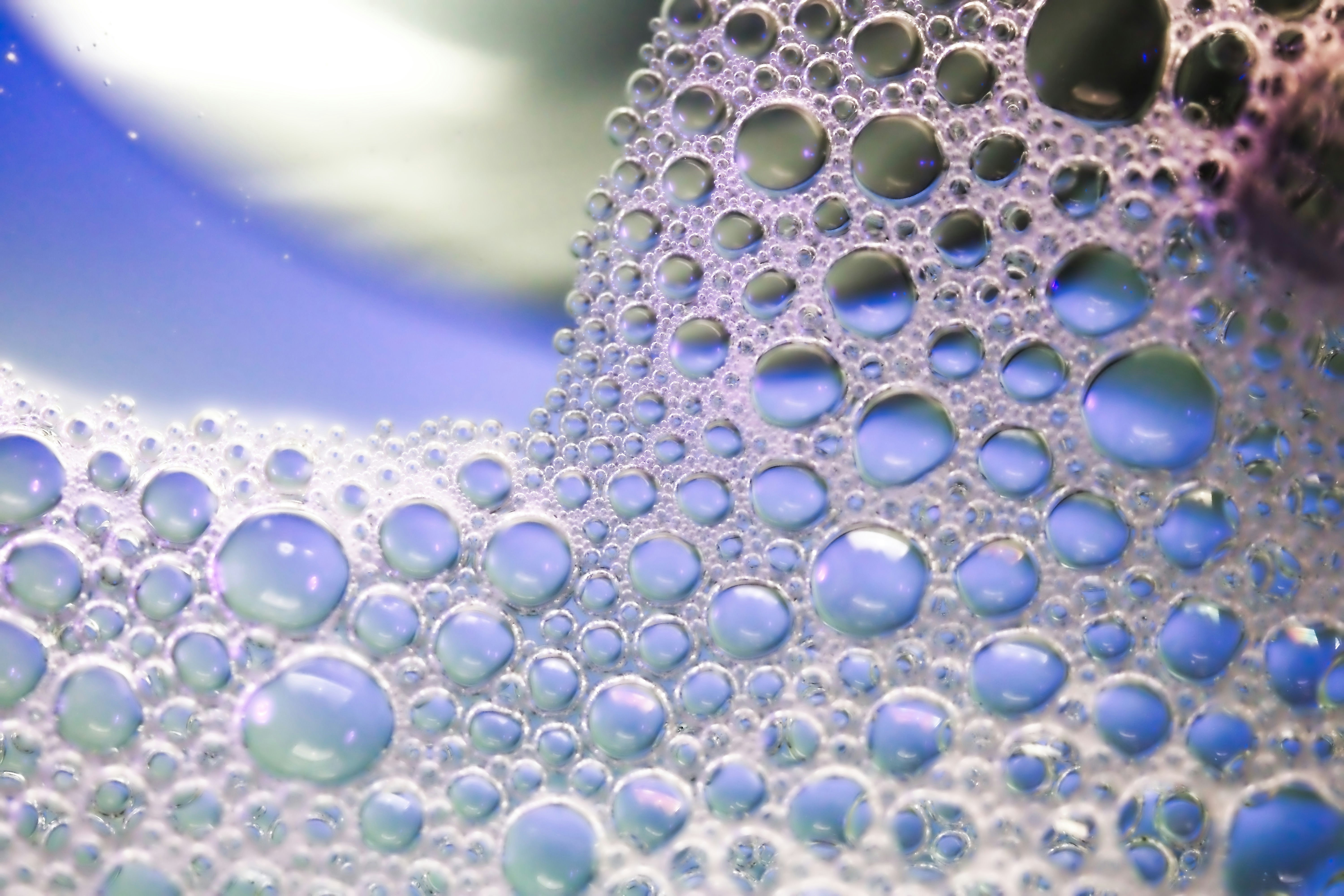 Bubbles in a Dream: Iridescent Orbs Across a Colorful Foam Field
