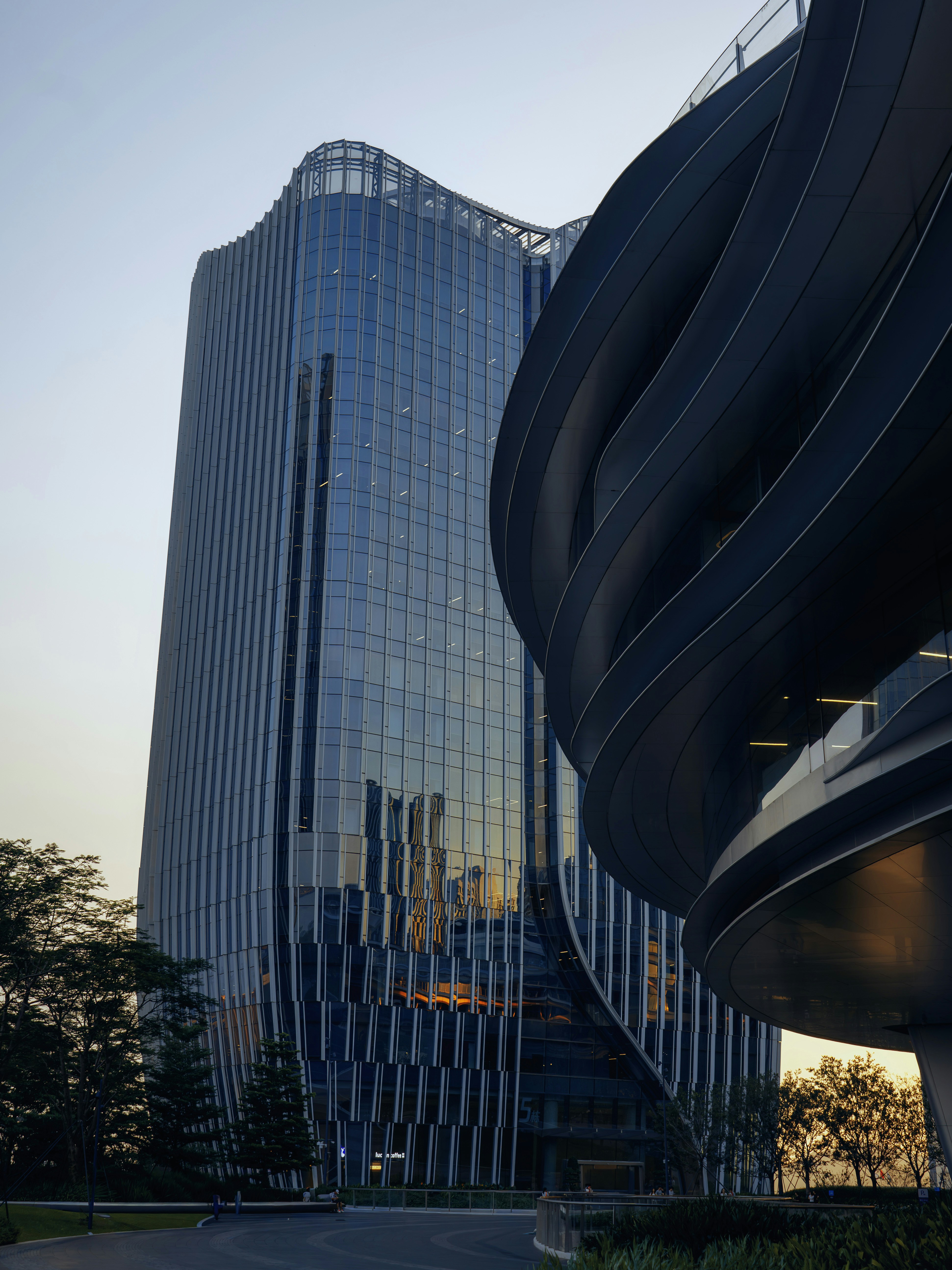 Curved Silhouette Against a Glass Tower: Nightfall at a Modern Oasis