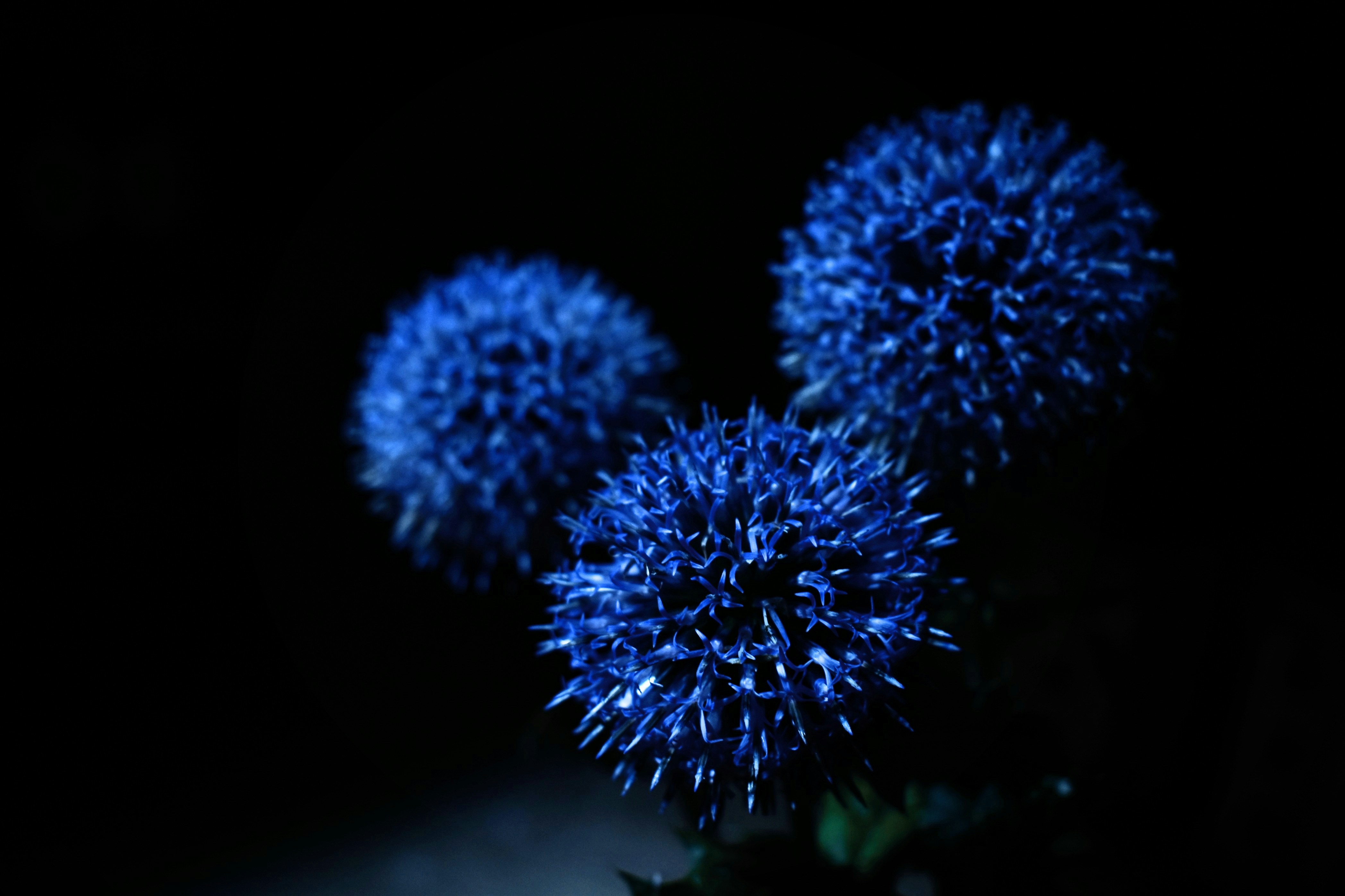 Three cobalt globes in a velvet night