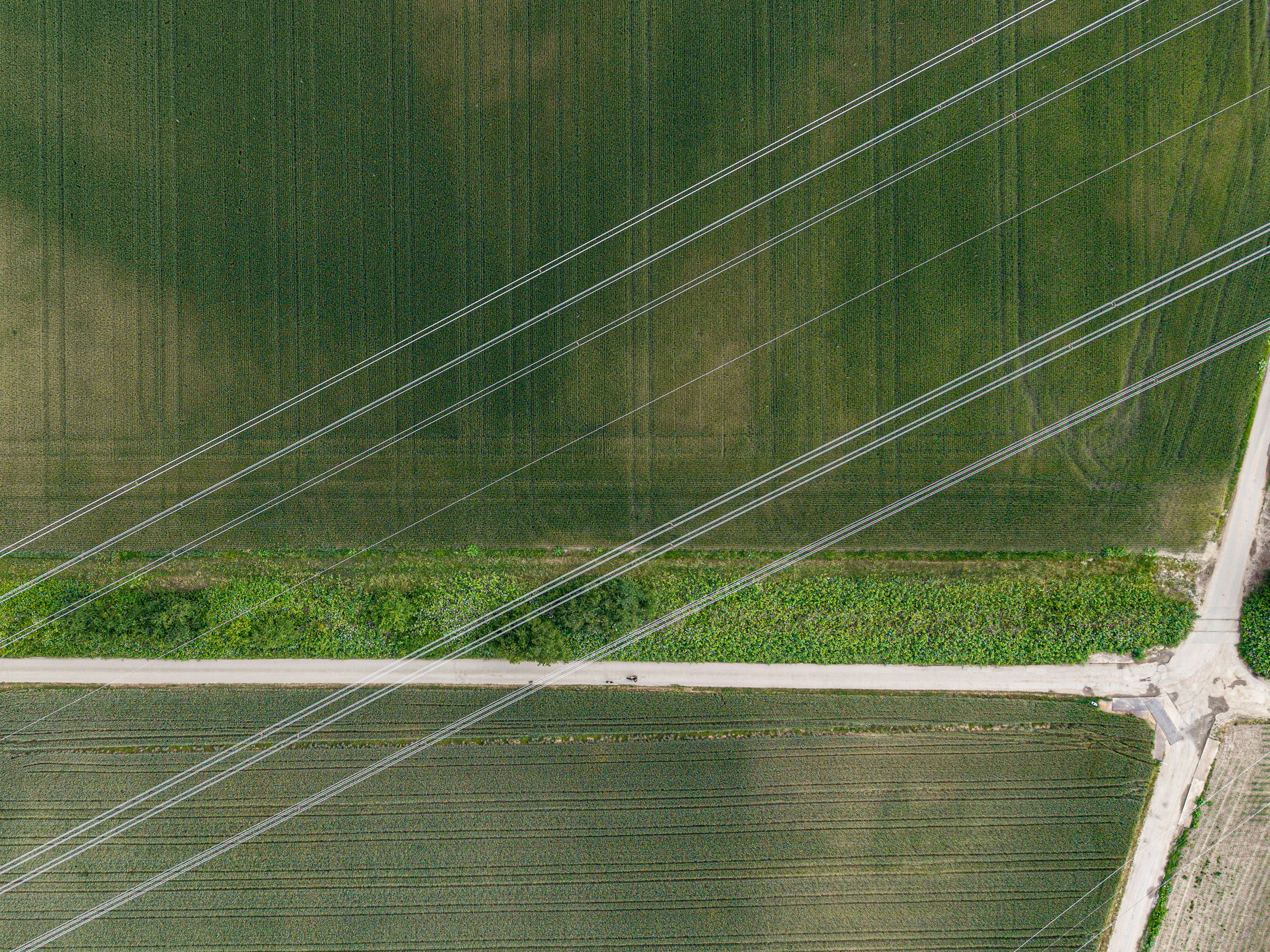 Overhead Fields and Wires: Aerial Lines Across Farmland