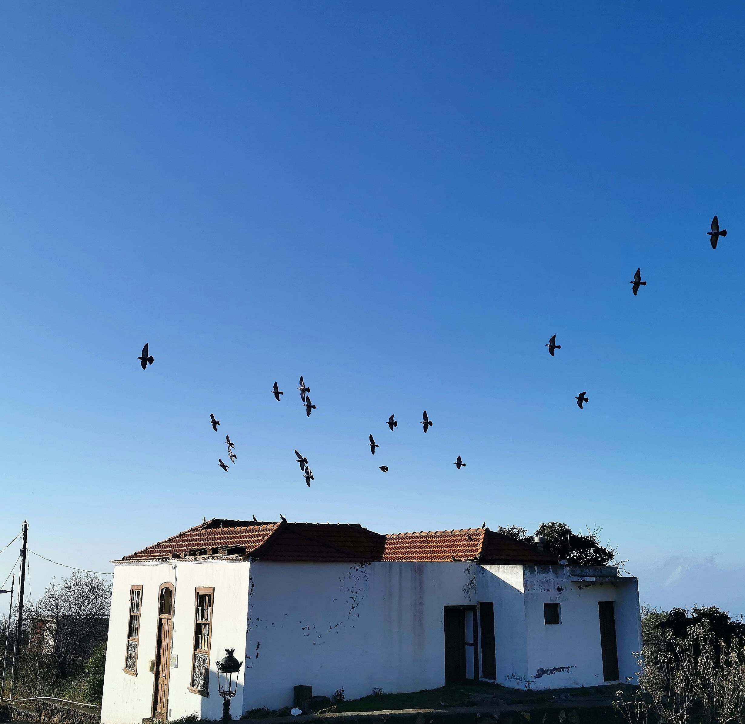 White, weathered building sits under a clear blue sky with a flock of birds in flight overhead.