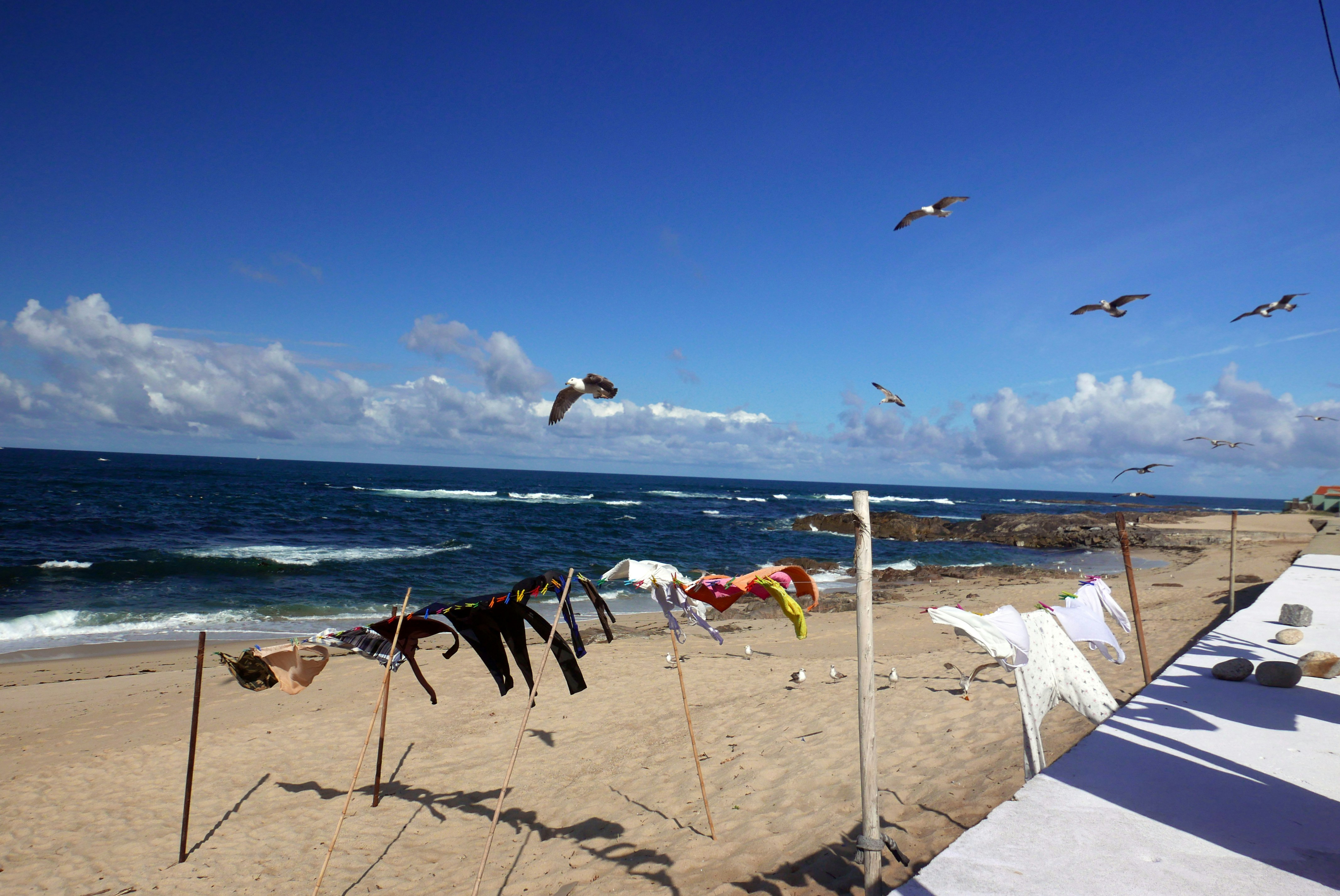 Laundry on the Wind-Swept Shoreline