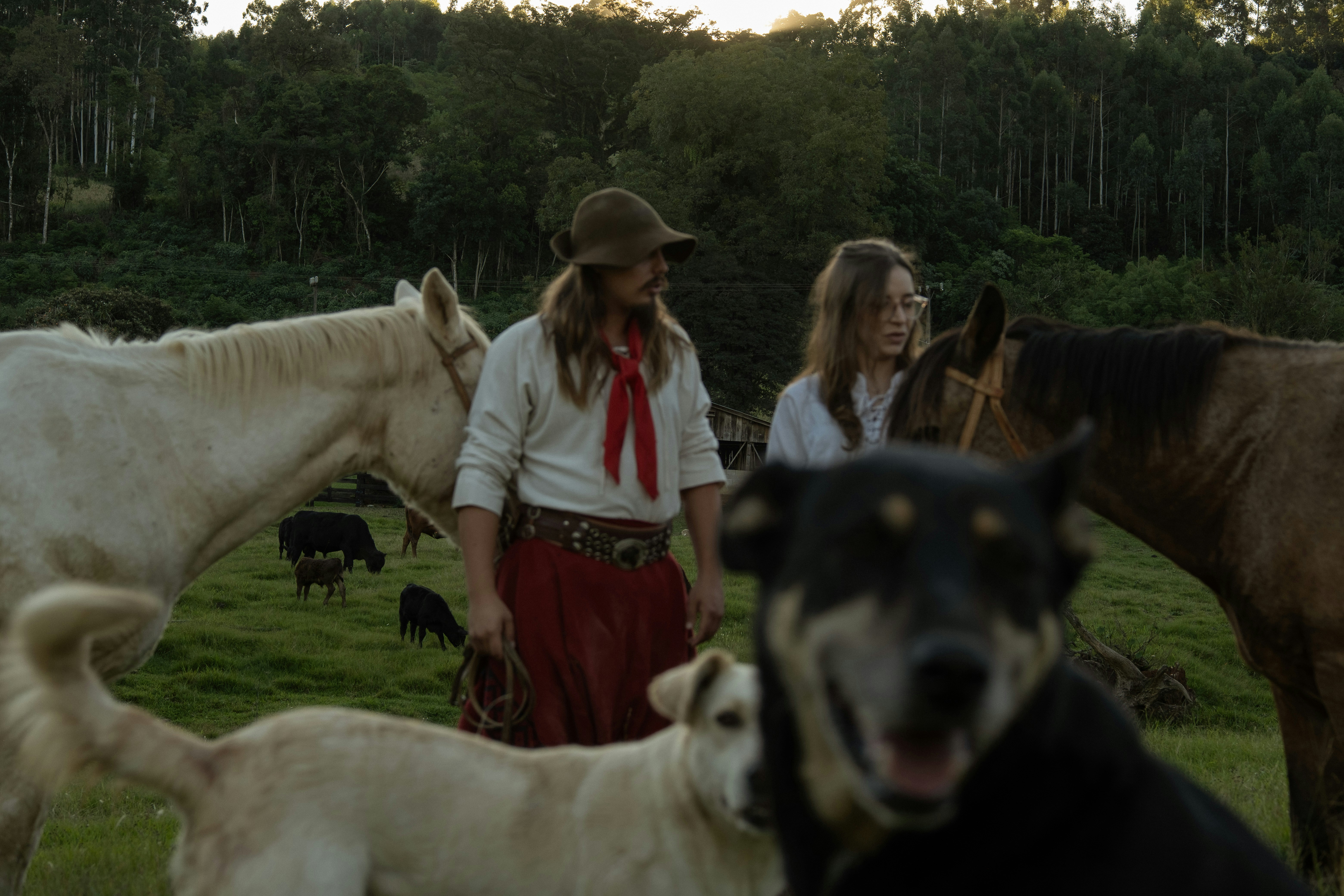 Two Riders in a Field with Curious Dogs