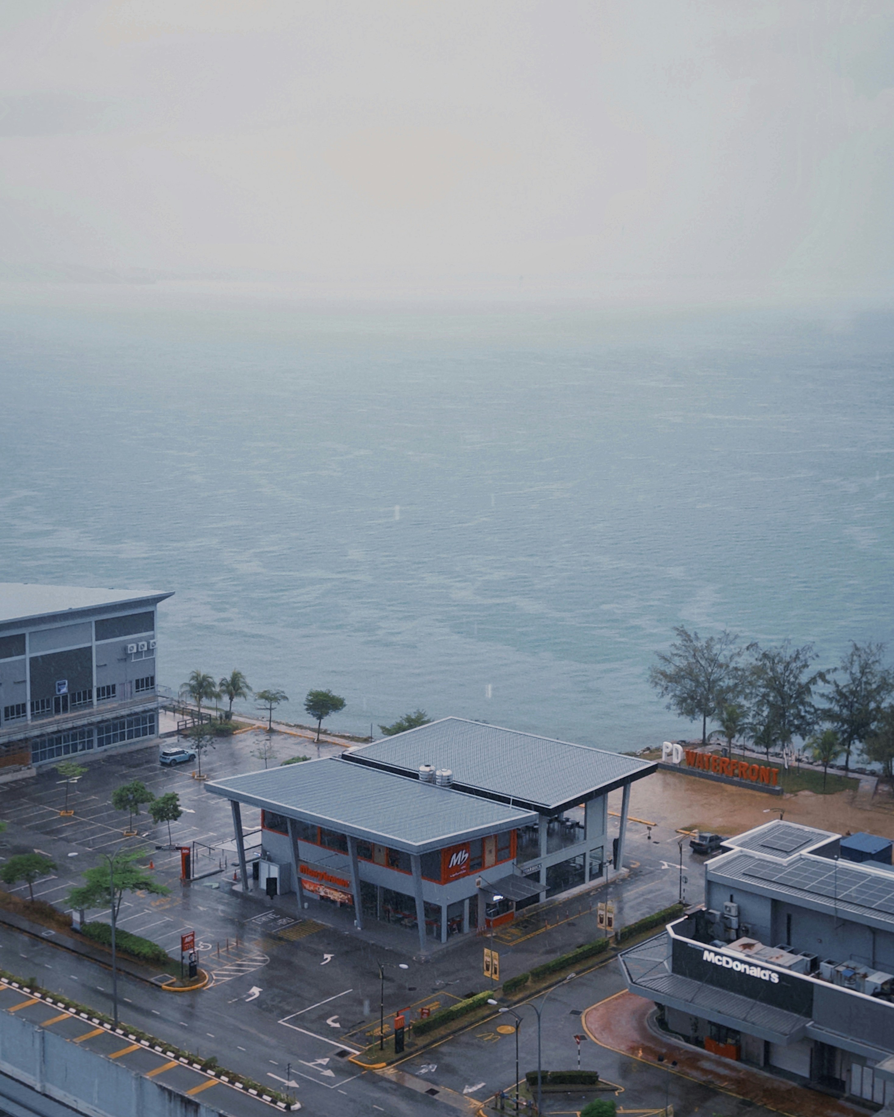 Grey skies, Ocean tides, and a Piece of mind