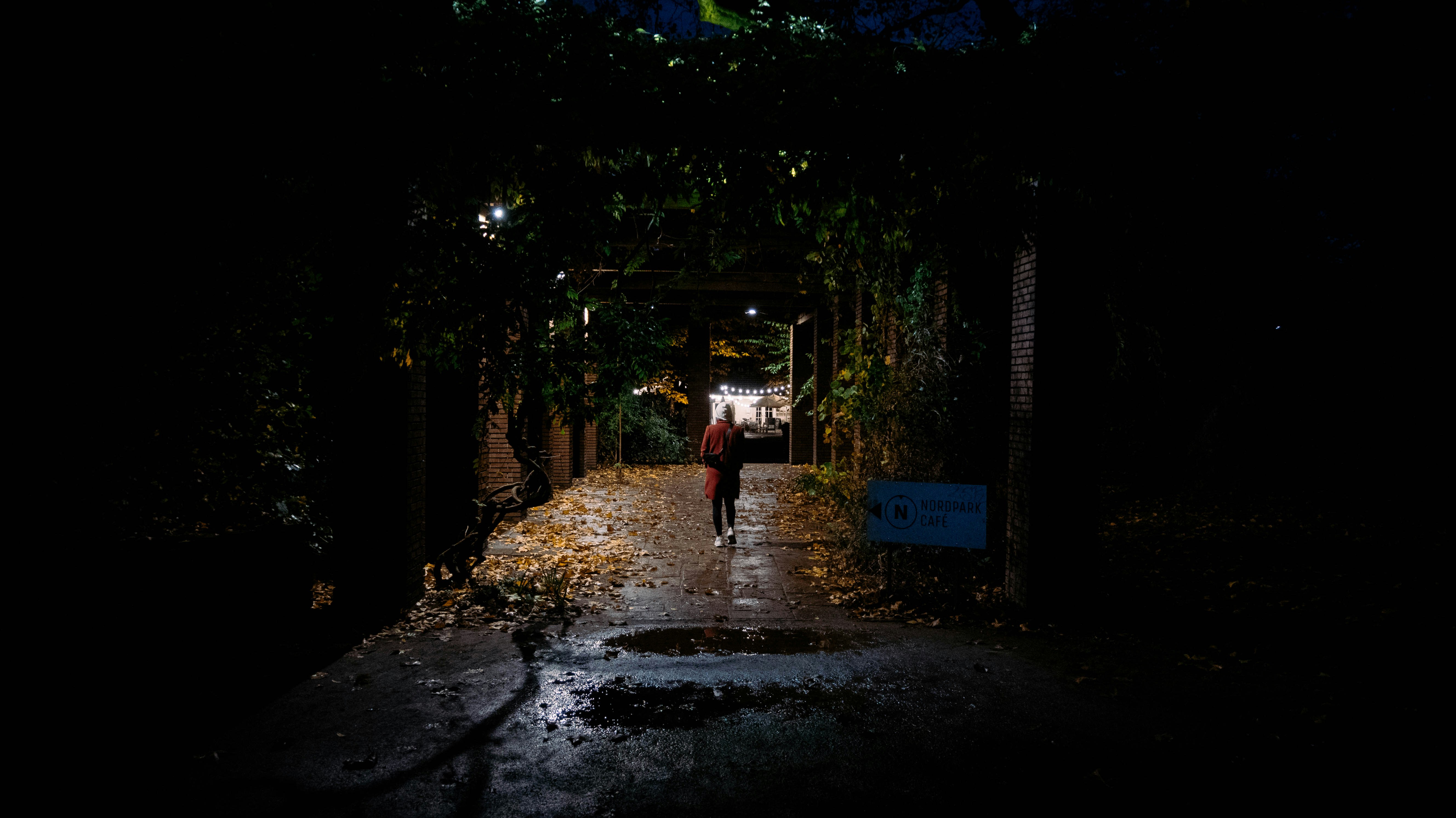 Lantern-lit Walkway: A lone figure in the portal of dusk